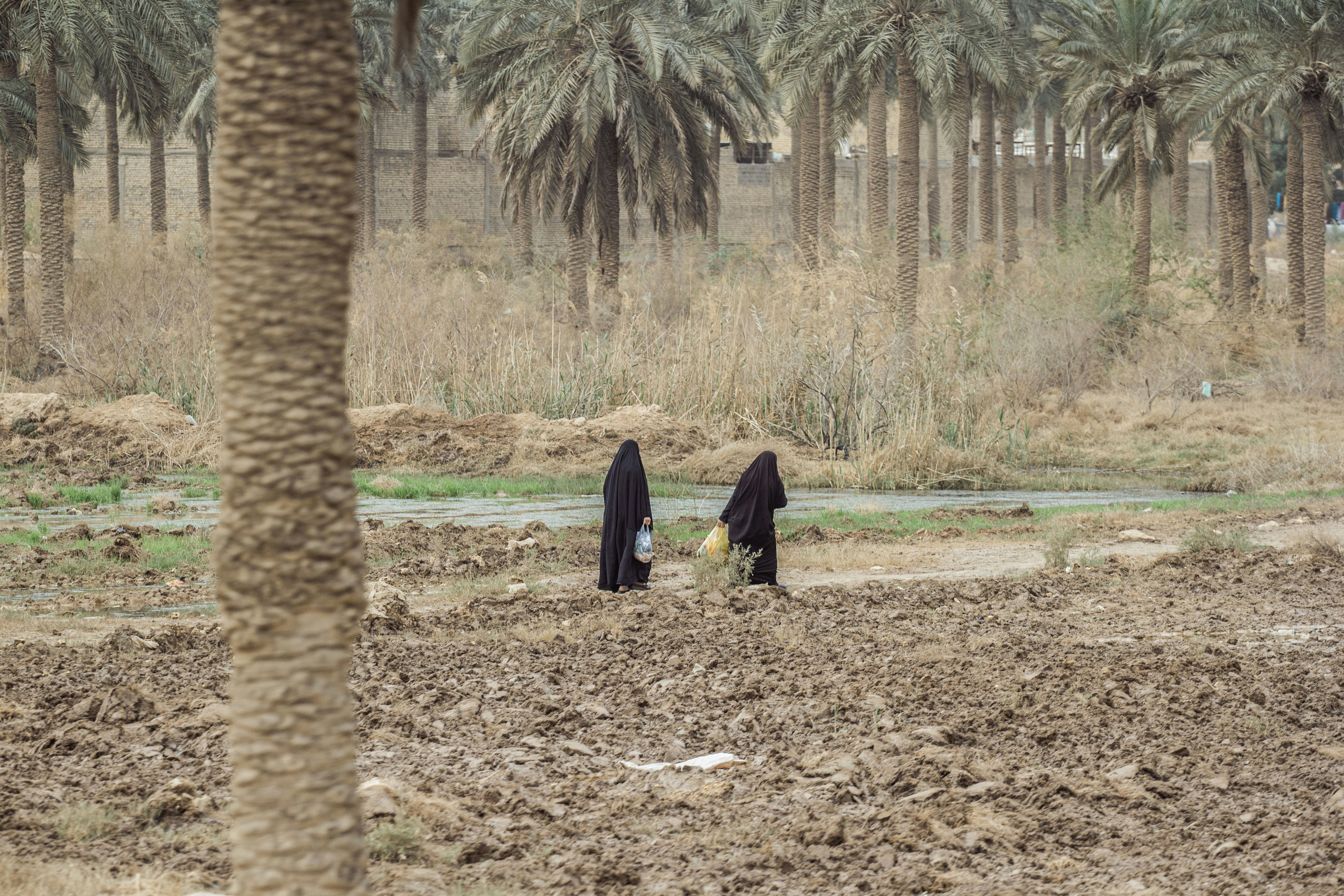 Ahwaz Pictures | Download Free Images on Unsplash