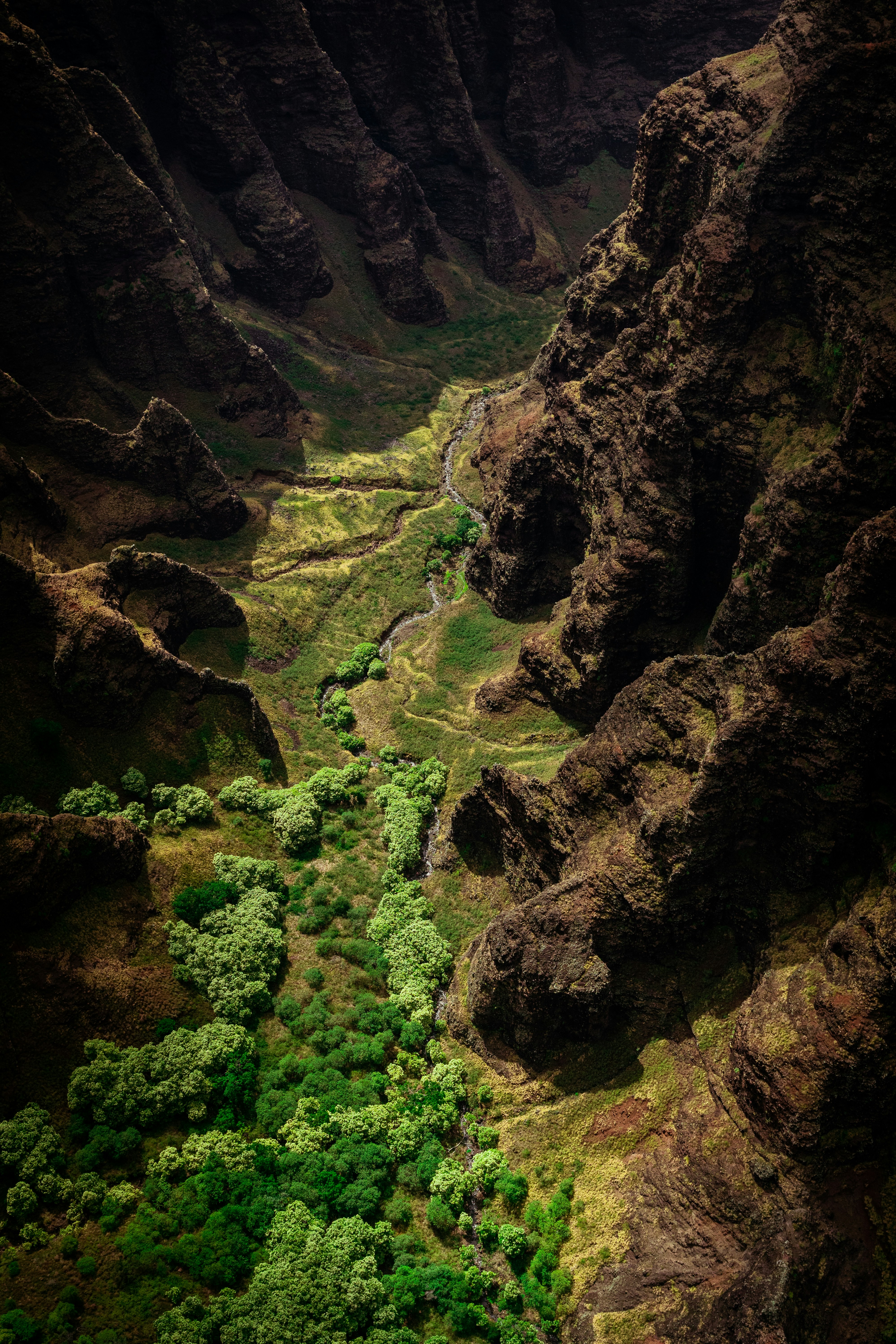 Green moss on brown rock formation photo – Free Nature Image on Unsplash