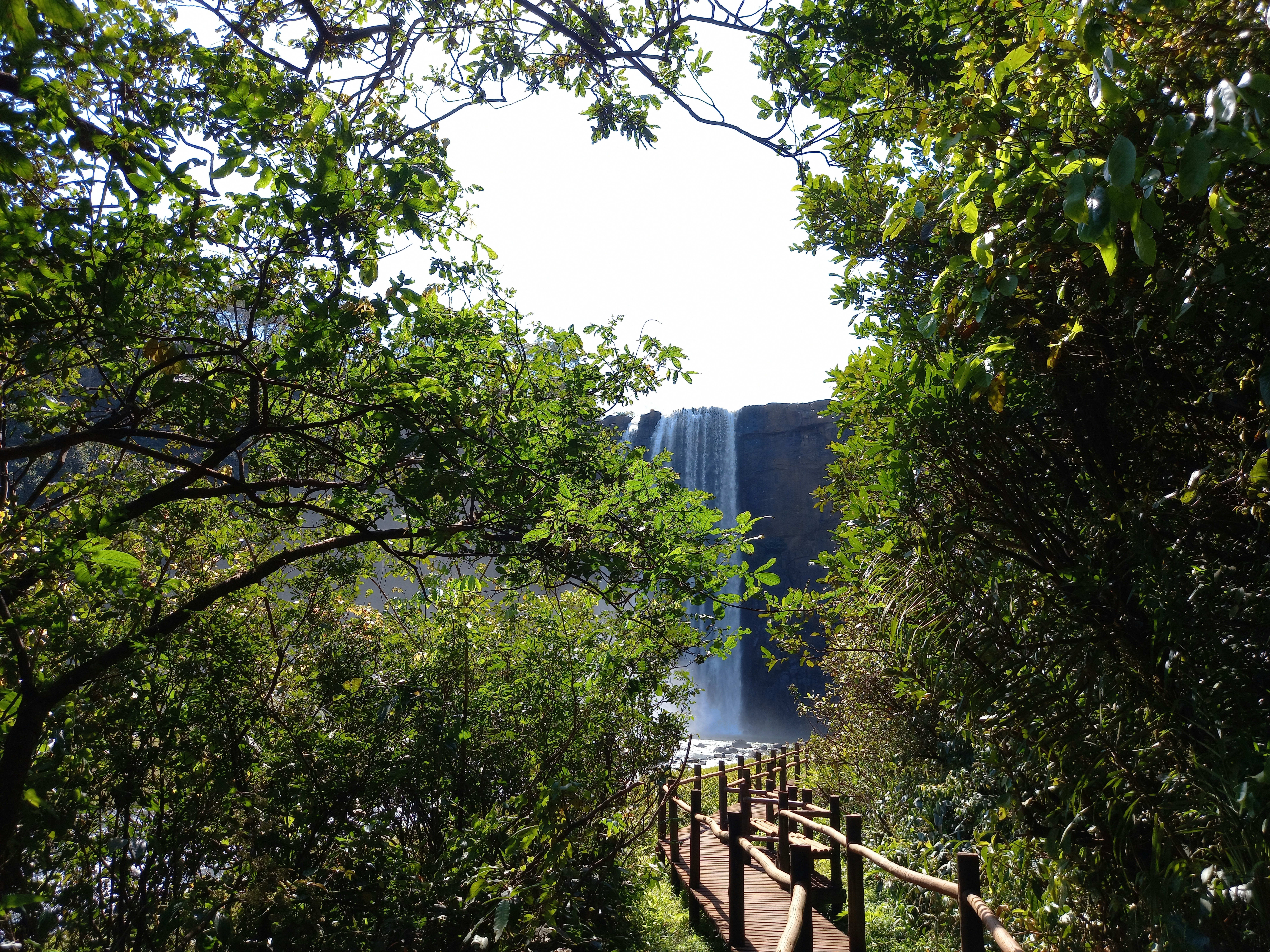 A winding wooden path leads through lush greenery towards a distant waterfall, framed by vibrant foliage. The scene captures the tranquility of nature's embrace.