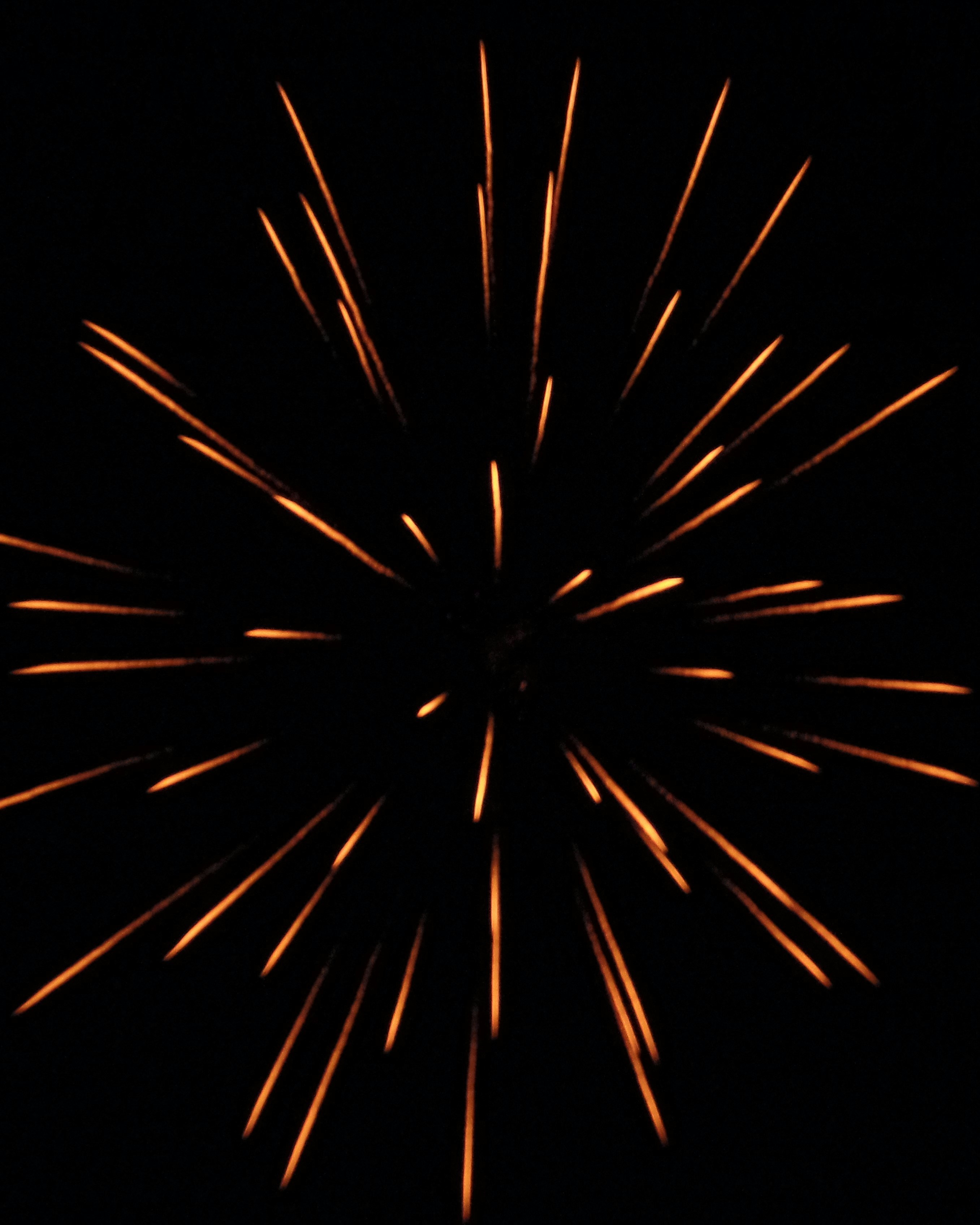 Dynamic firework explosion radiating bright orange trails against a black sky.