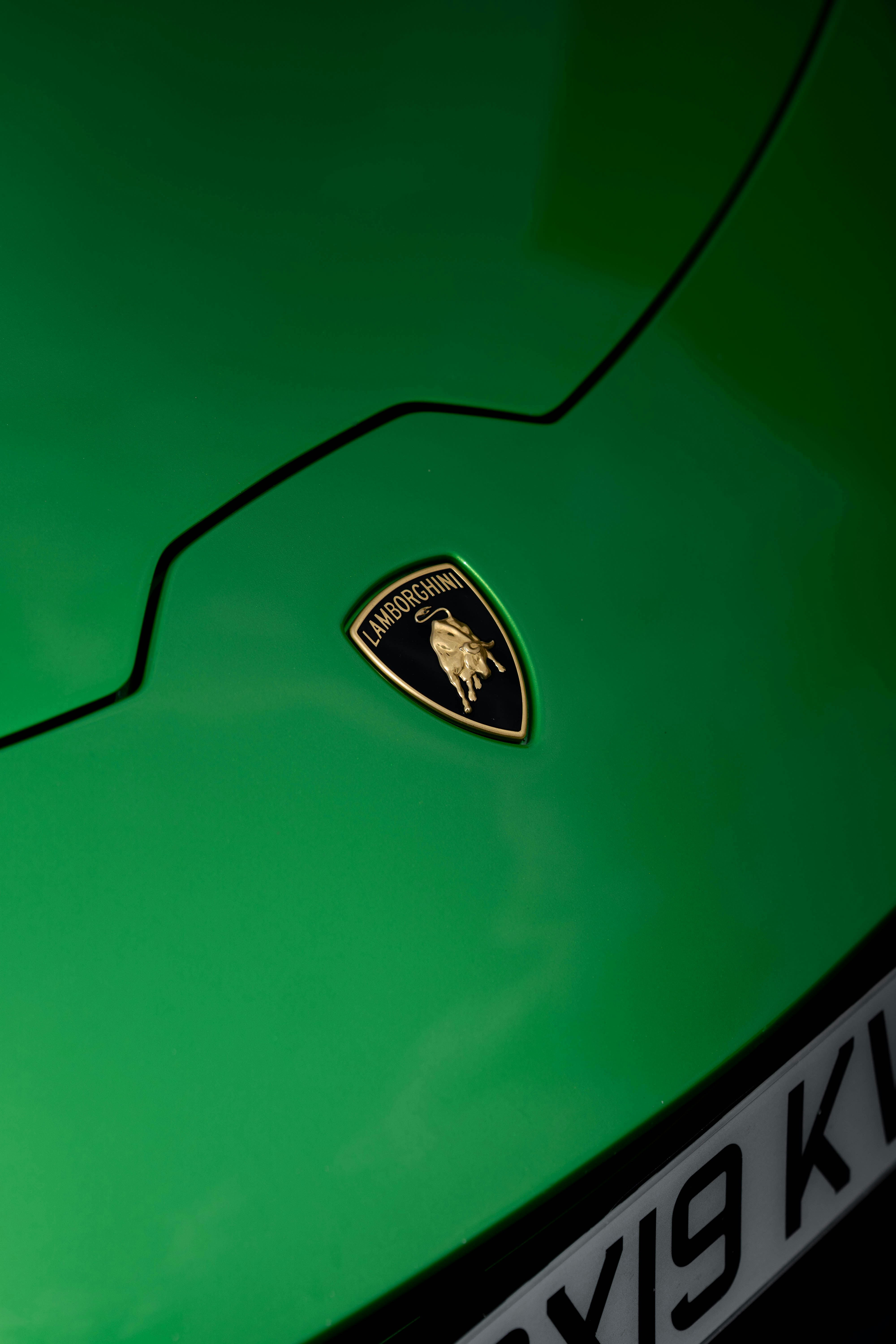 Emerald Gleam: Lamborghini Emblem in a Green Theater