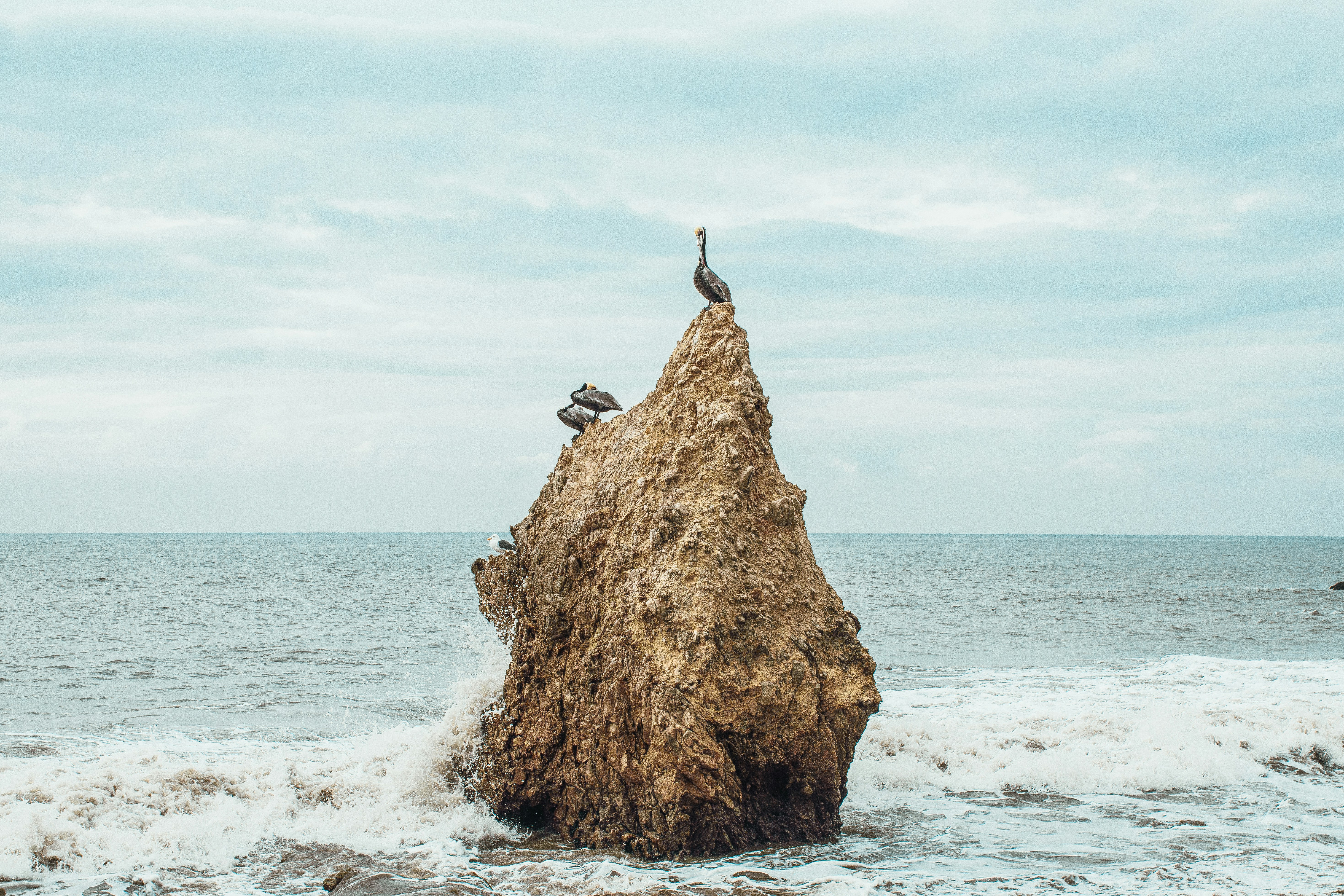 Pelican perched atop a jagged rock formation amidst gentle ocean waves under a hazy sky.