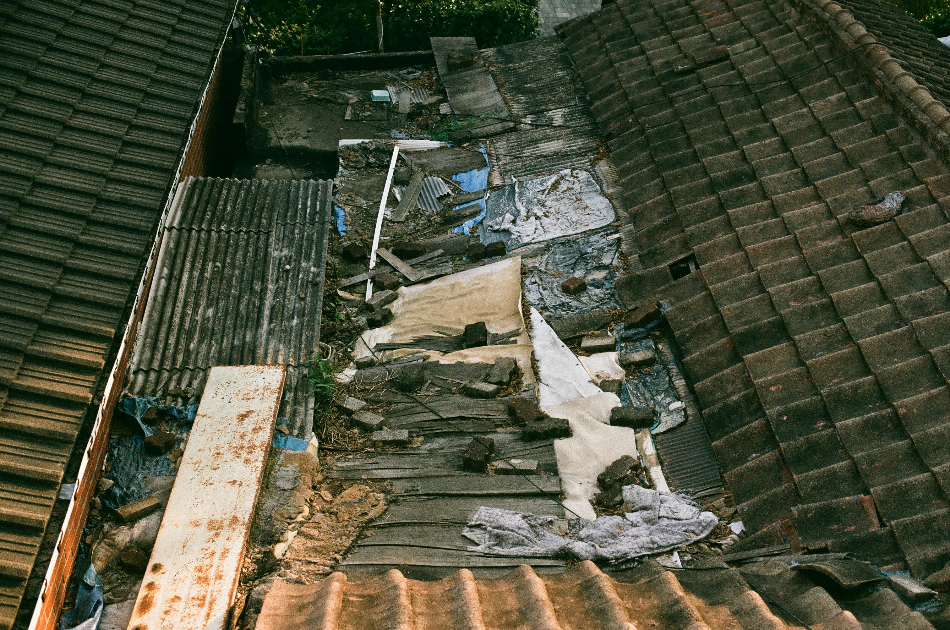 Sample photo from CANON AE-1