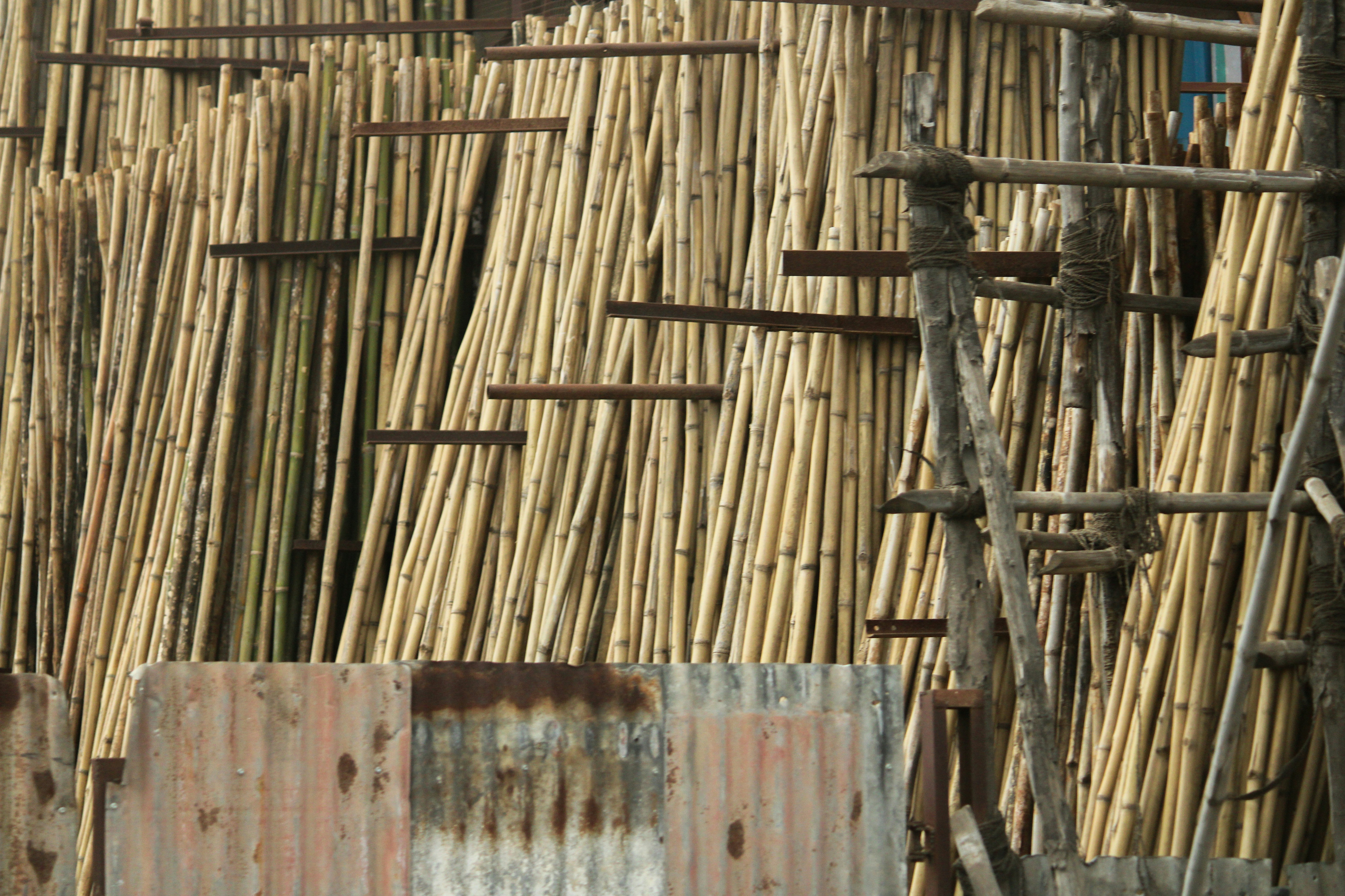 Bamboo Wood Pictures | Download Free Images on Unsplash