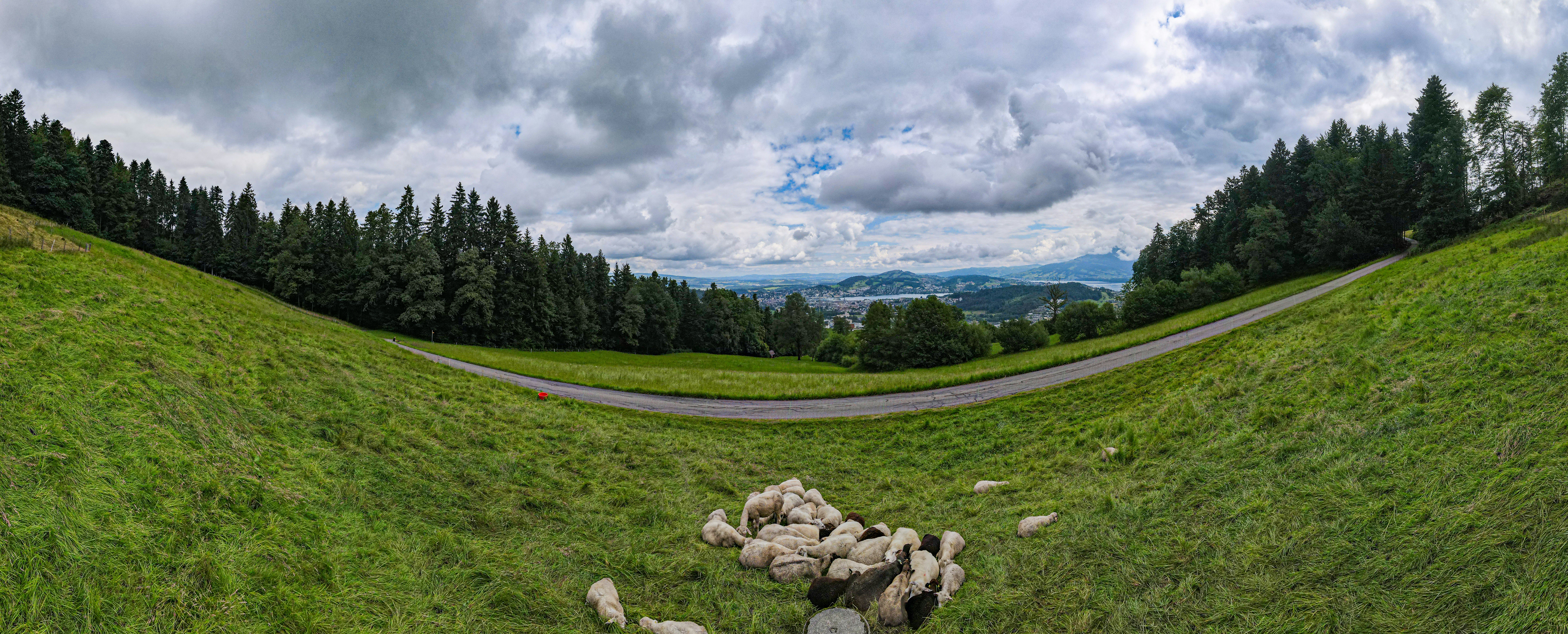 Curved Green Valley: A Drone’s Eye Over a Winding Road and Rocky Foreground