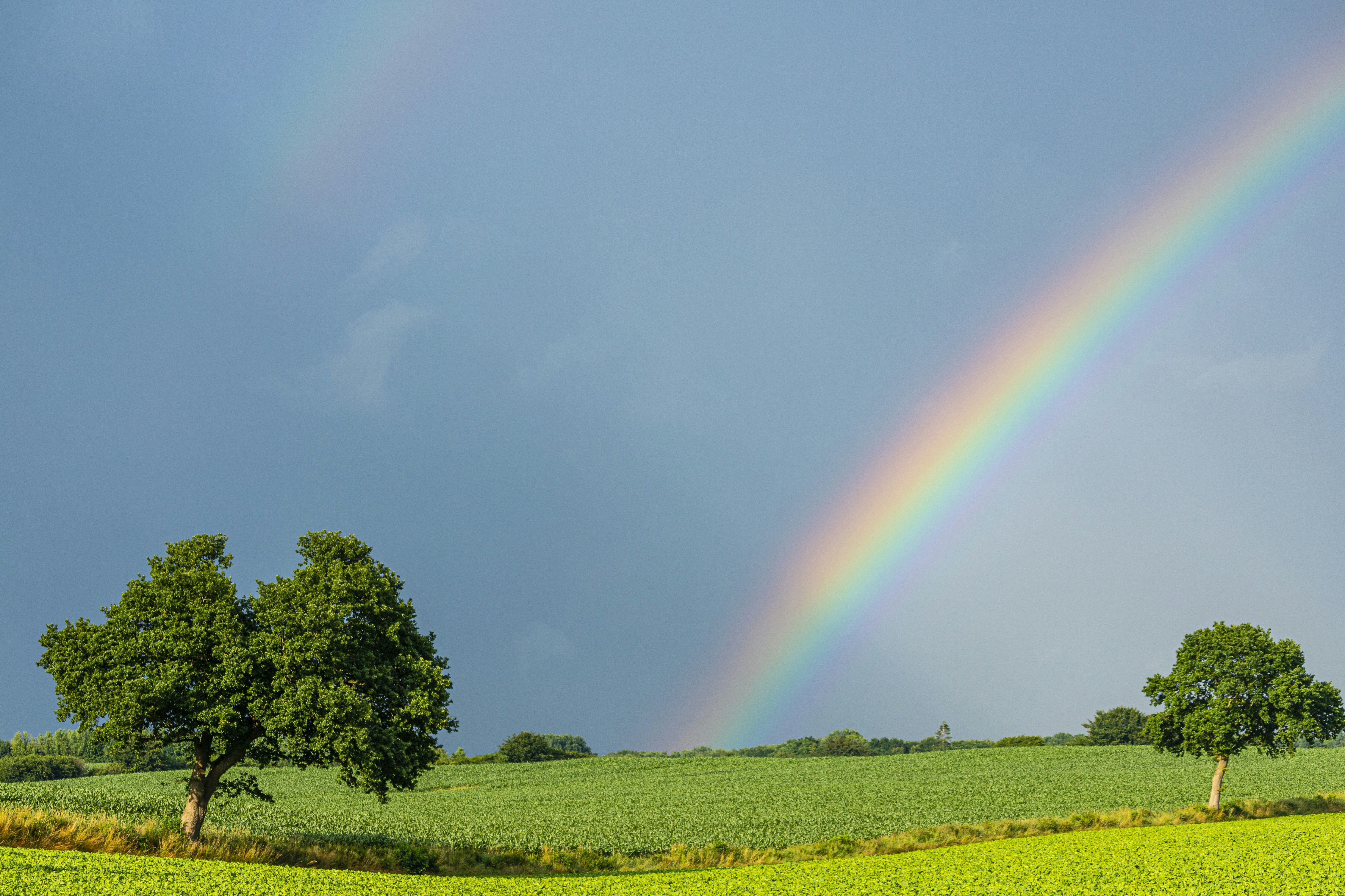 Double Arc Over the River of Green