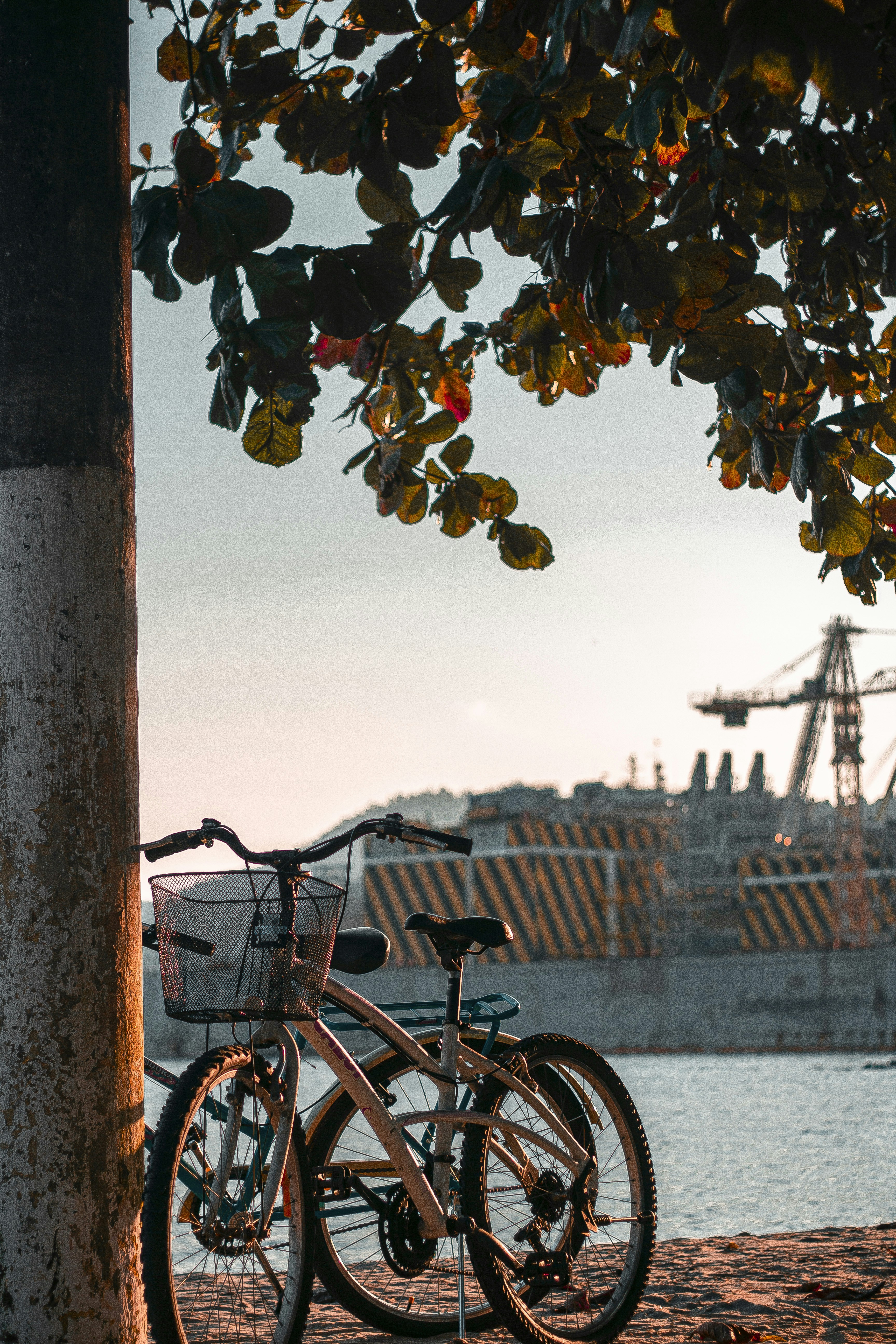 Sunlit Bicycle by the Waterfront Under Dappled Leaves