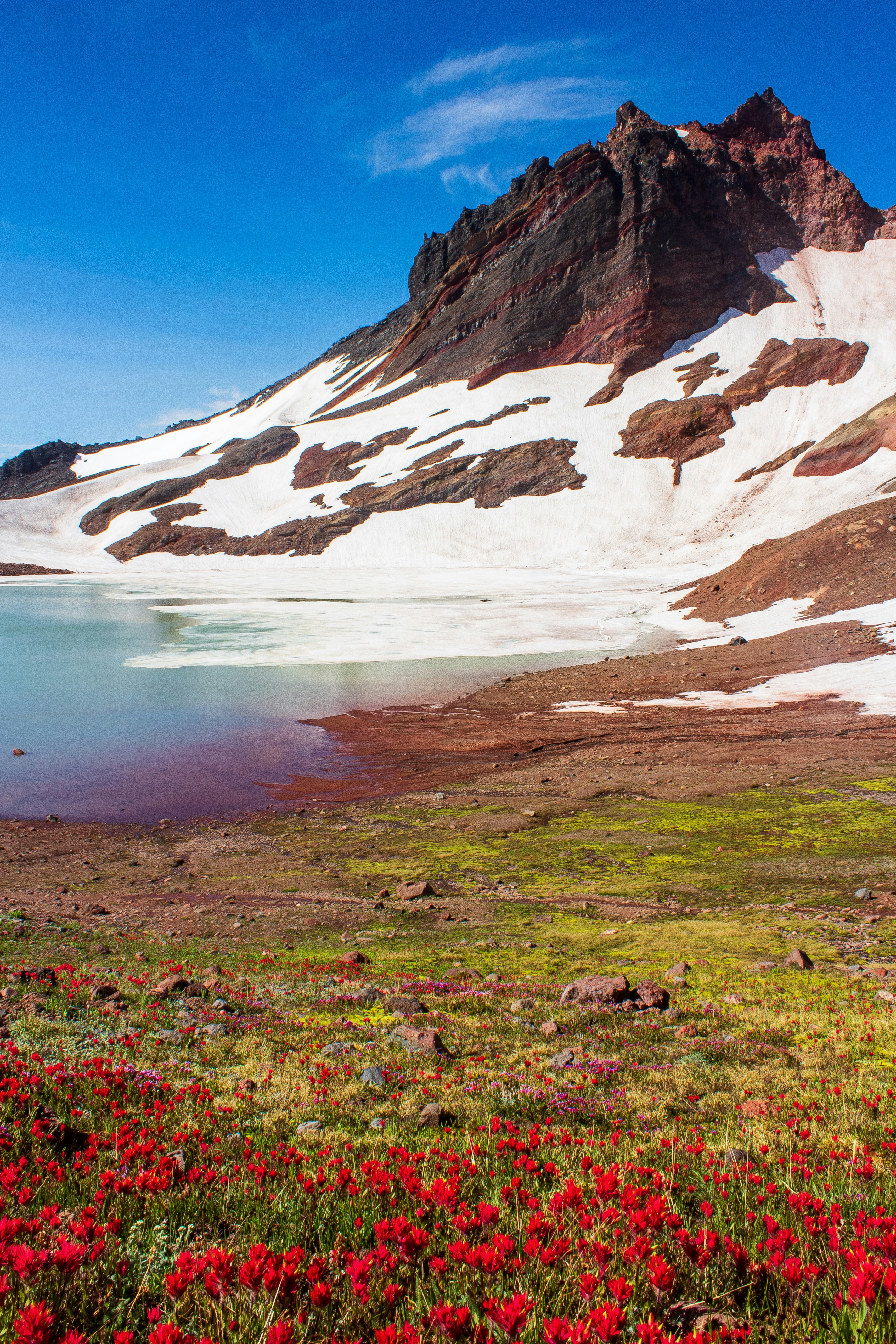 The red rocks and wildflowers of No Name Lake