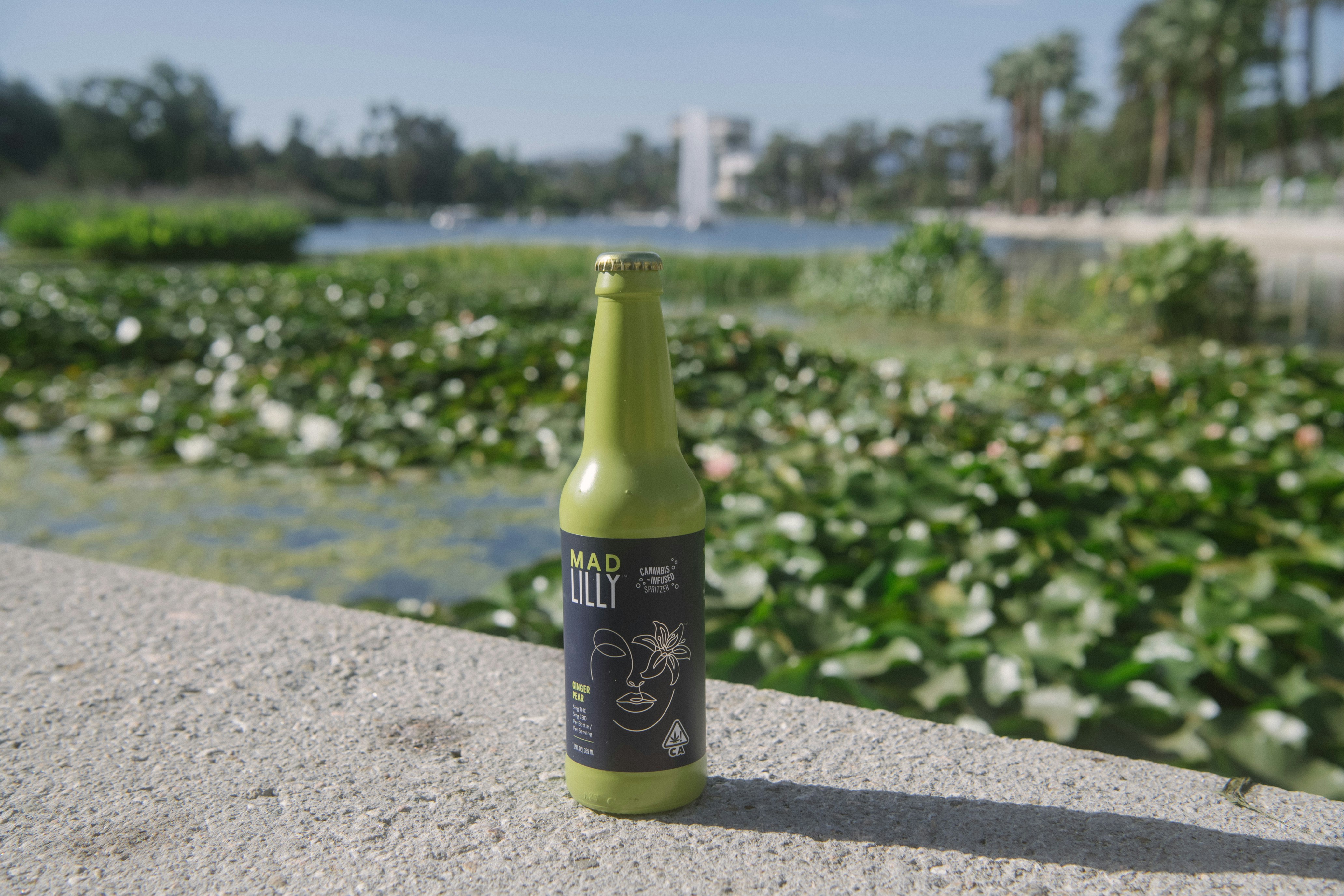 Mad Lilly on a Quiet Ledge: A Minimal Still Life by the Water