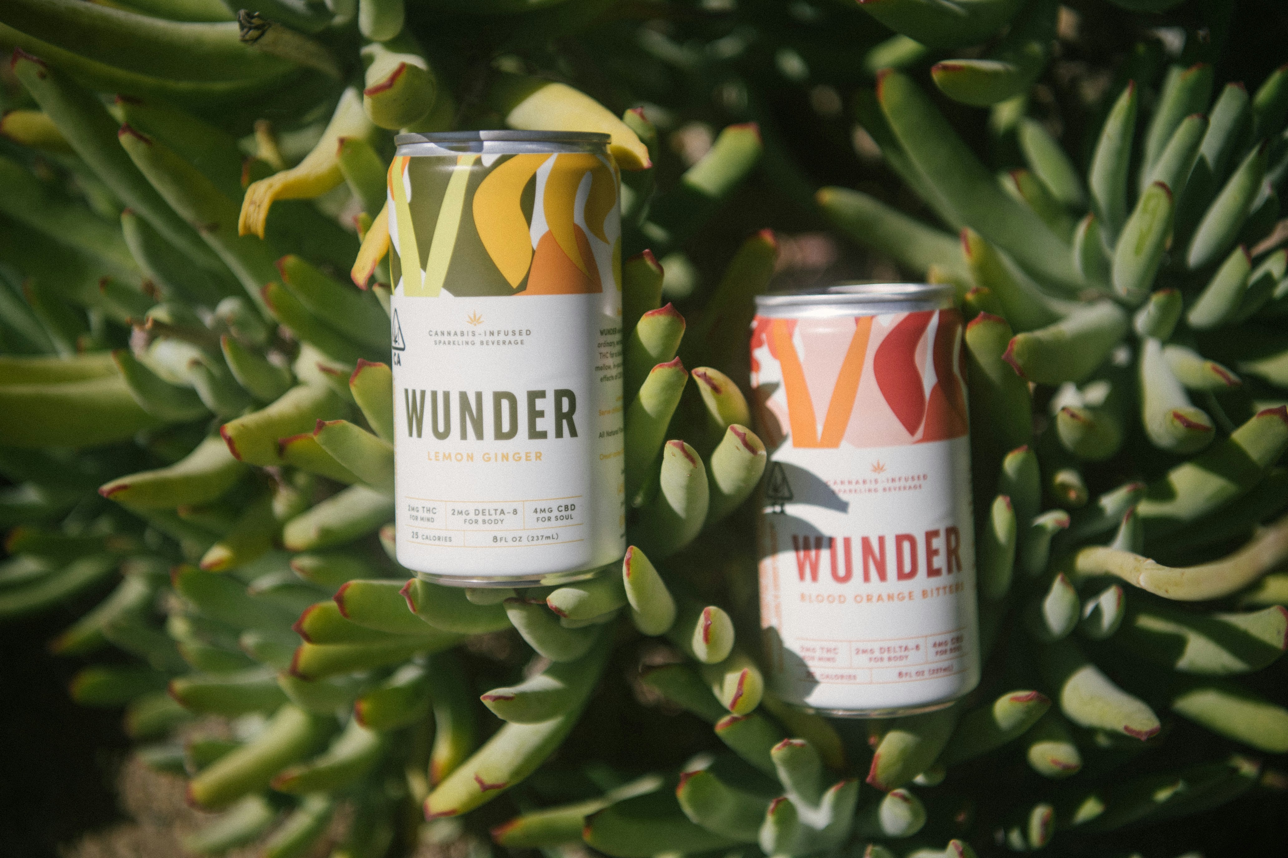 white and red labeled can on green leaves