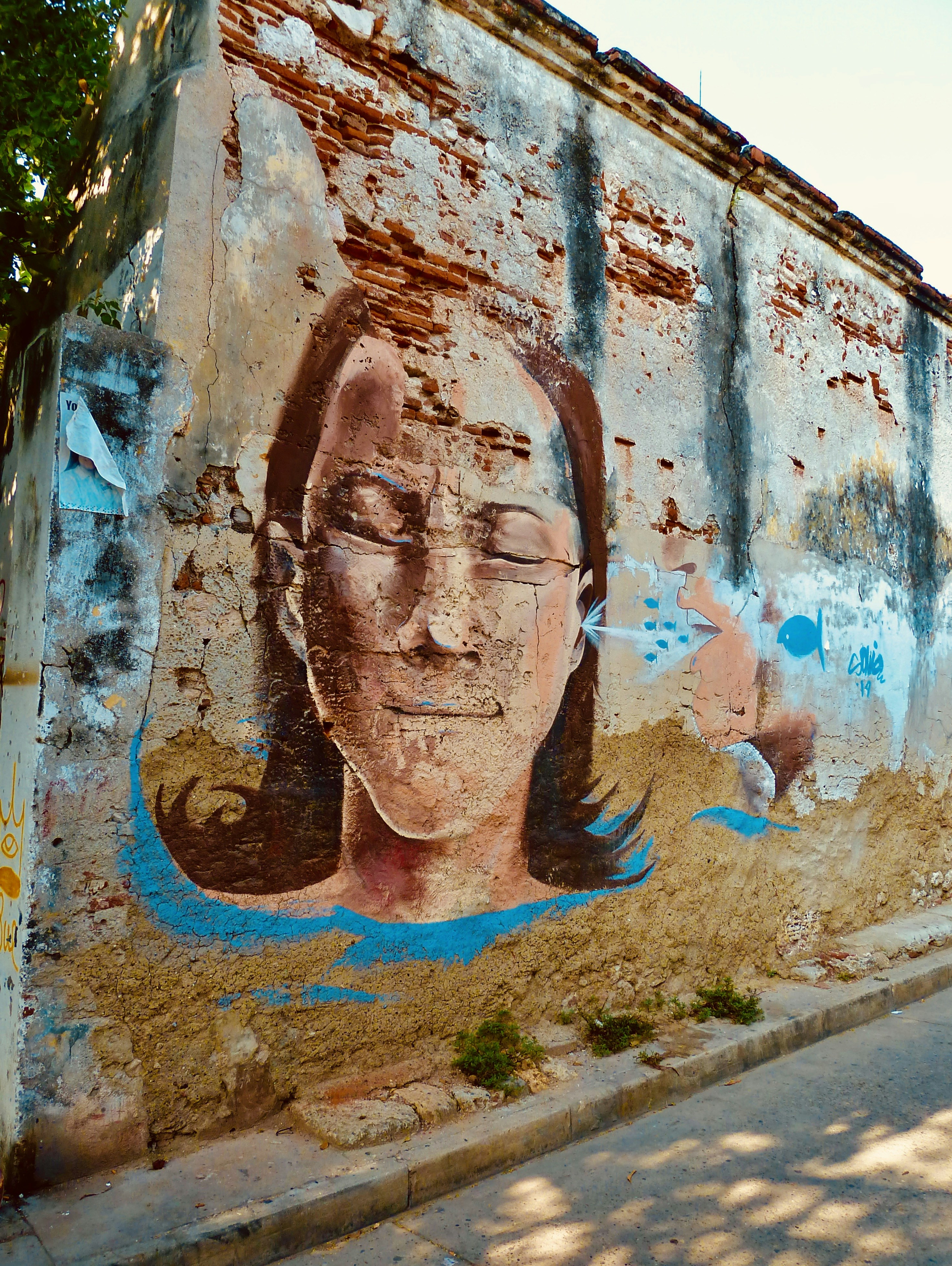 A detailed mural of a serene face on a weathered wall, surrounded by hints of blue and earthy tones. The artwork captures a moment of tranquility amidst urban decay.
