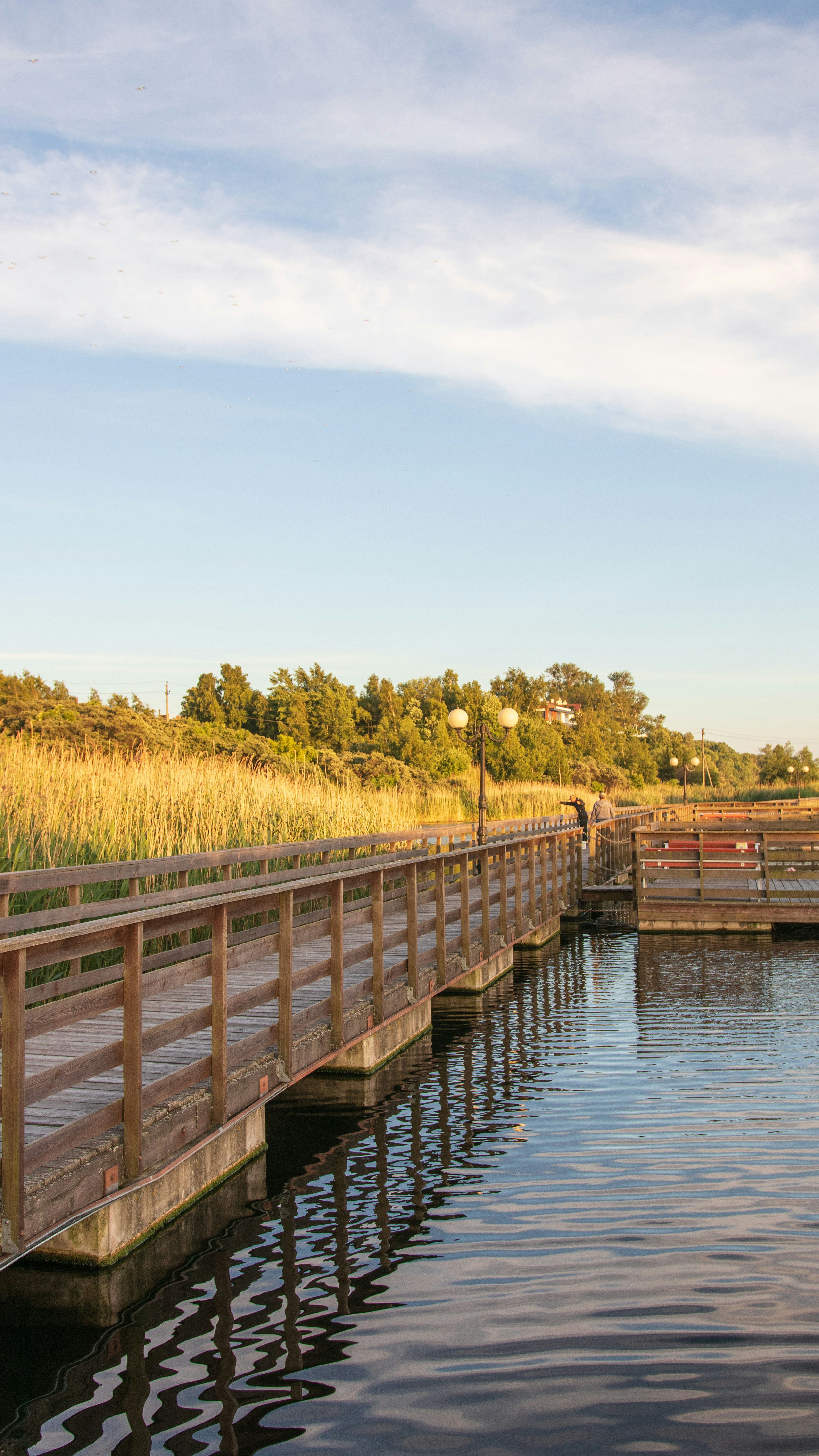Brown wooden dock on river during daytime photo – Free Water Image on ...
