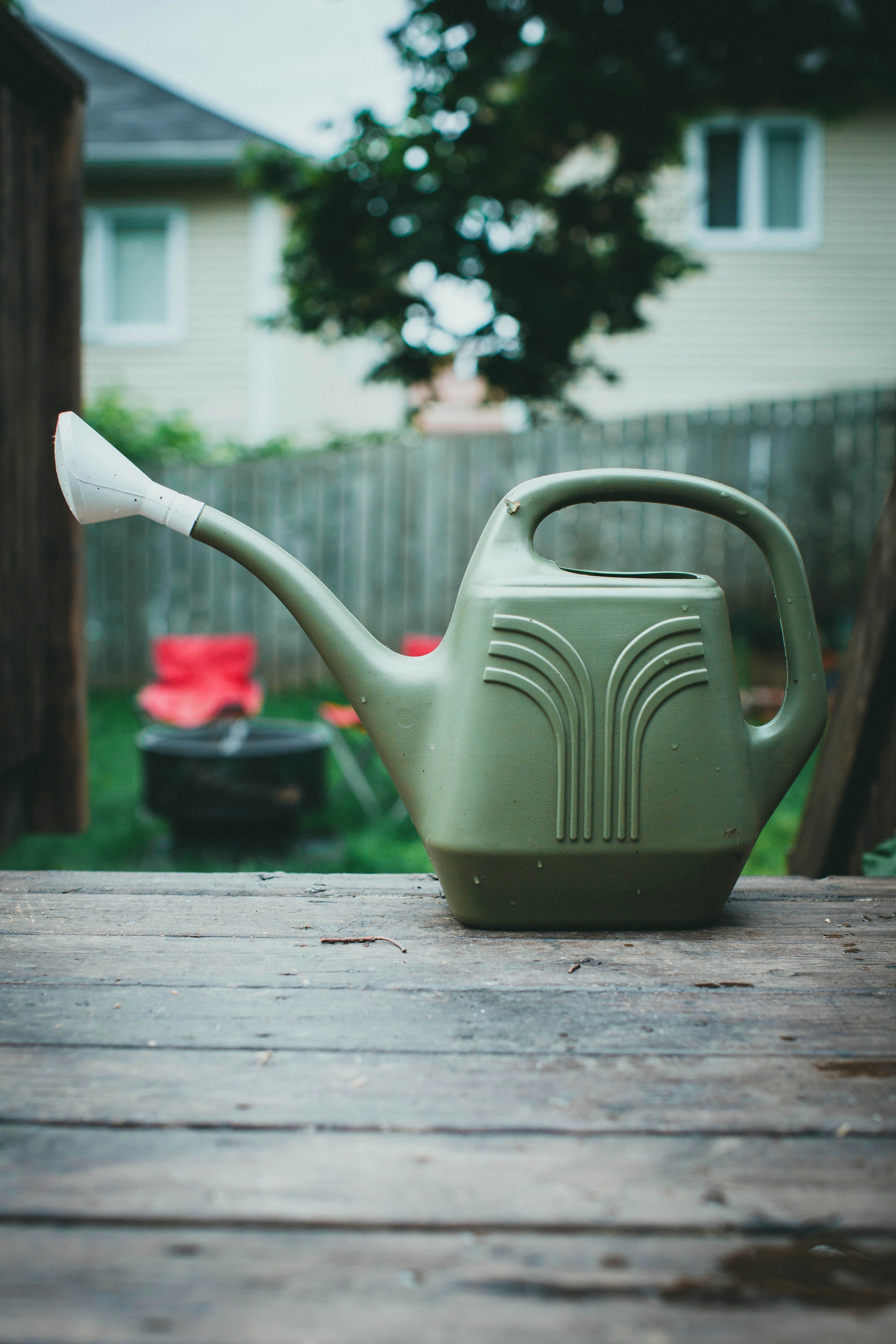30k+ Watering Can Pictures | Download Free Images on Unsplash