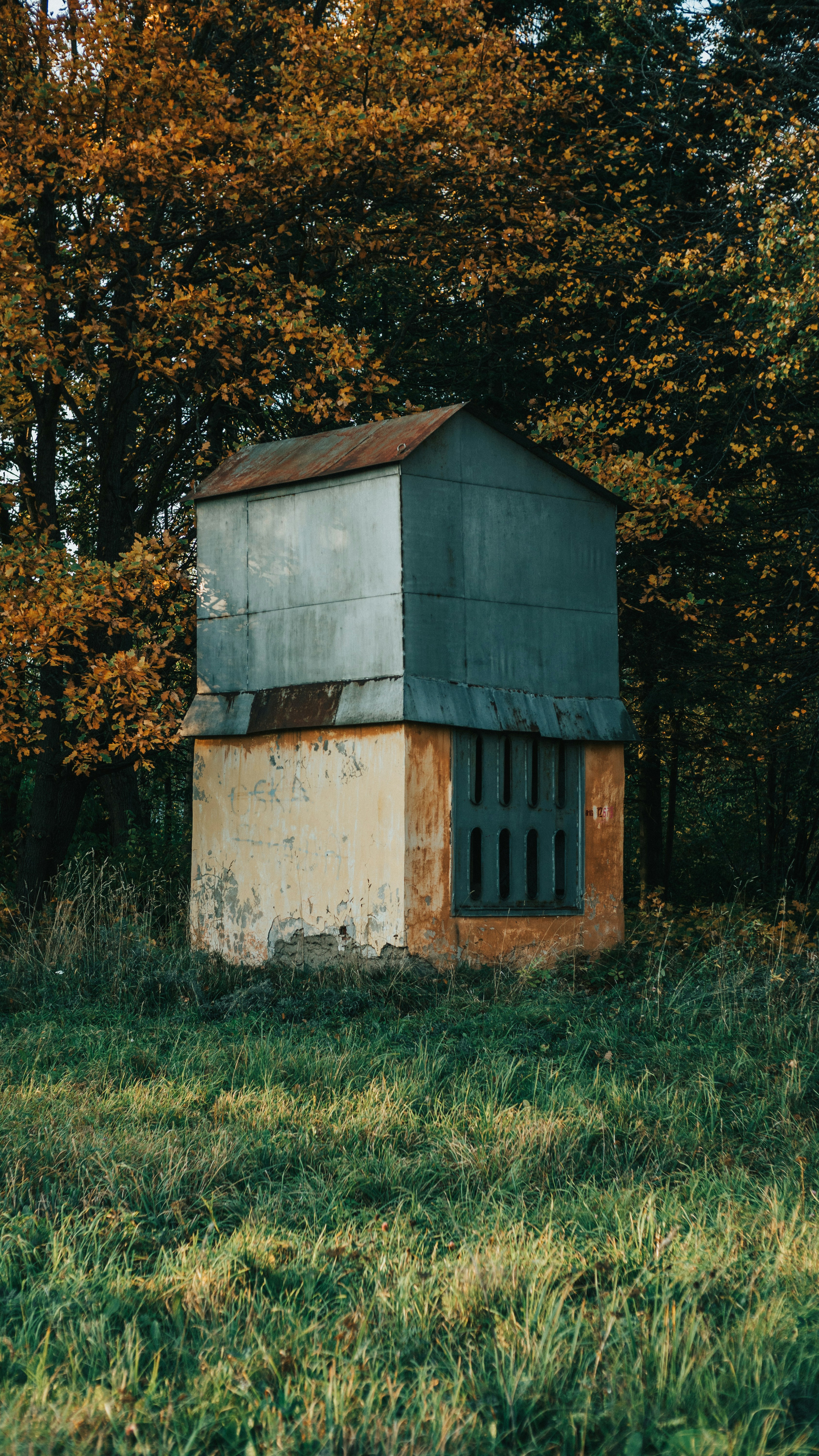 An old weathered utility structure near the Pulkovo Observatory in Saint Petersburg. The faded yellow paint and rusted metal roof contrast beautifully with the autumn foliage and soft evening light.