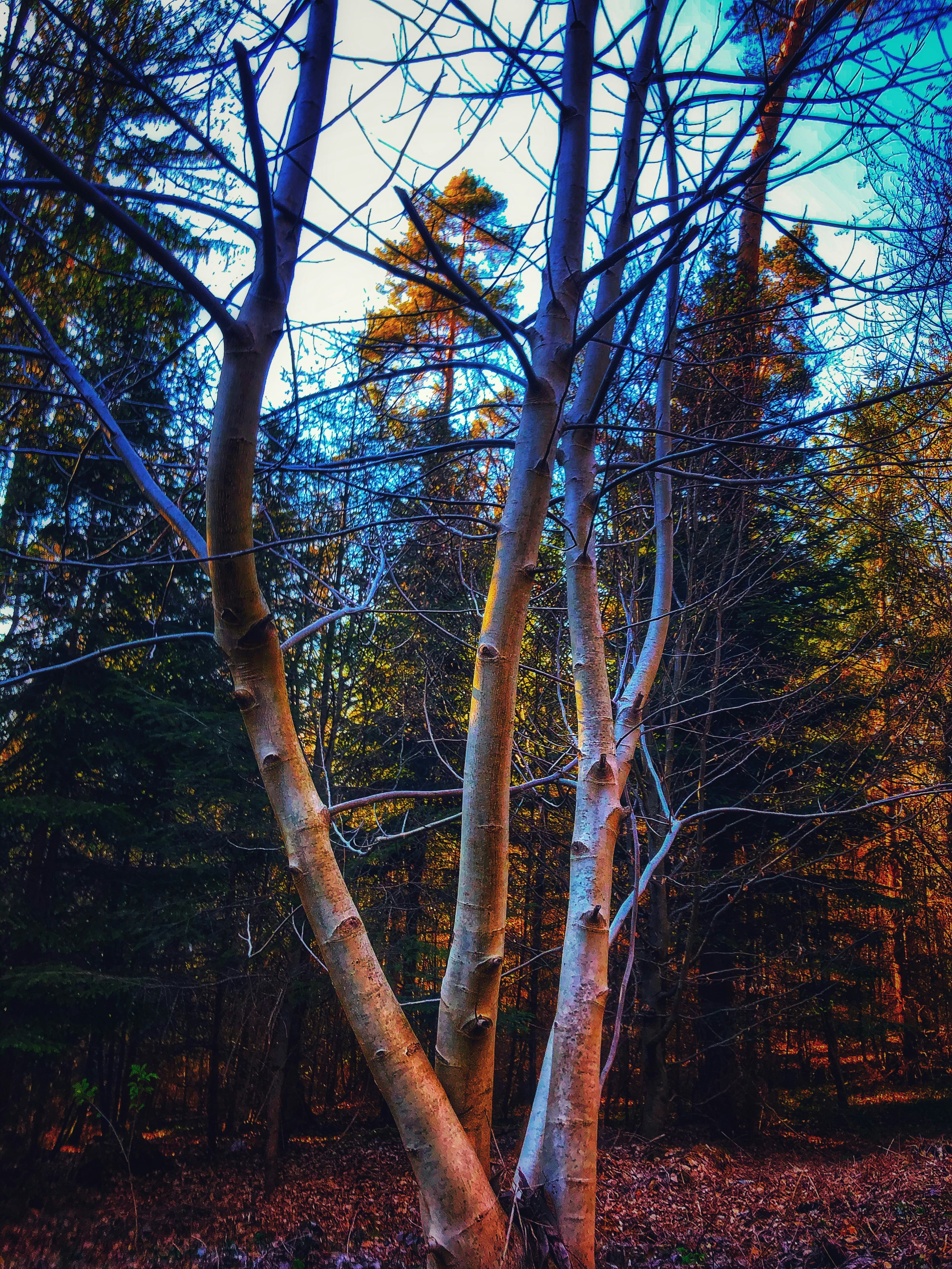David Zöllner (@david_02) | Unsplash Photo Community