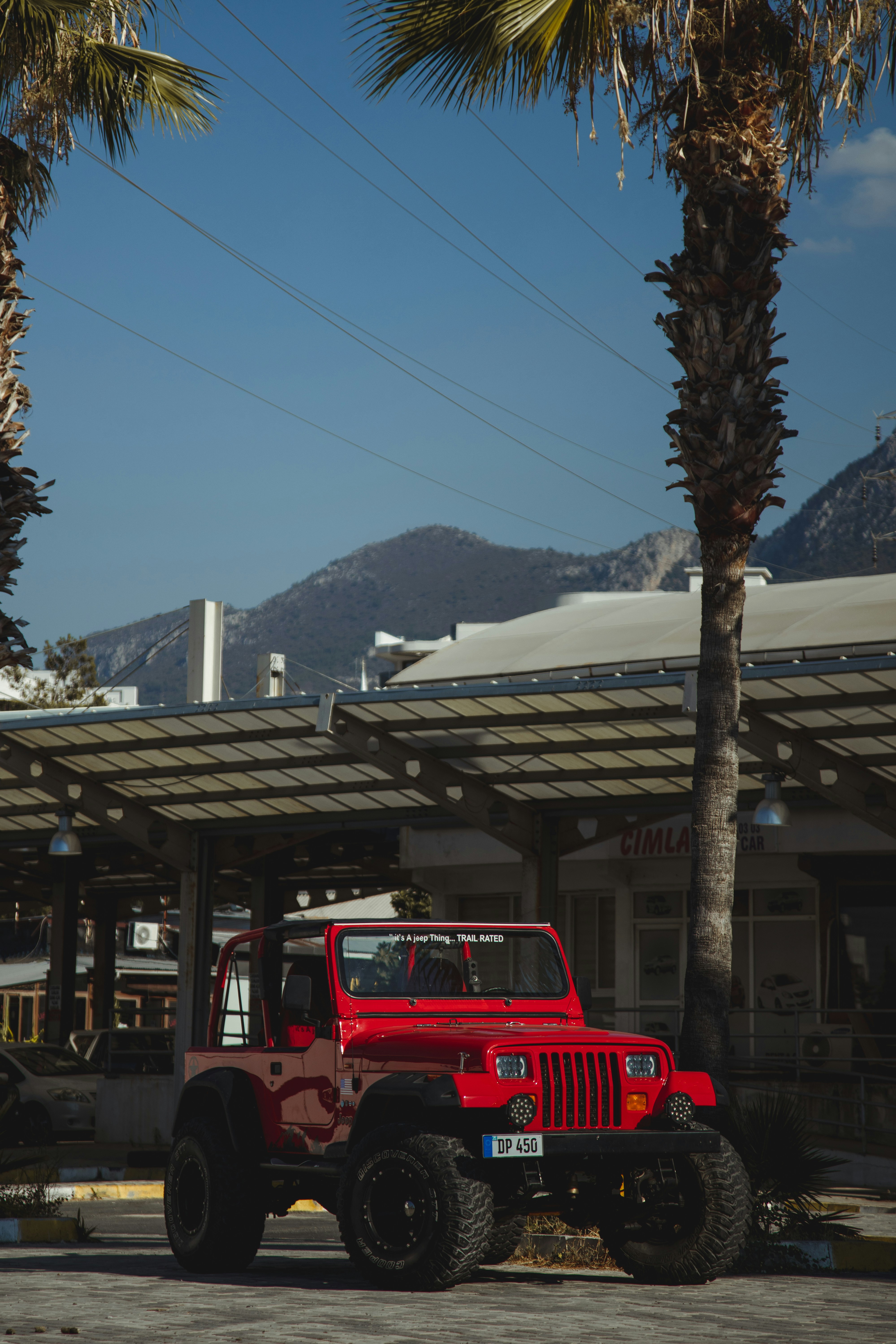 Red off-road vehicle parked beneath tall palm trees with distant mountains in the background.