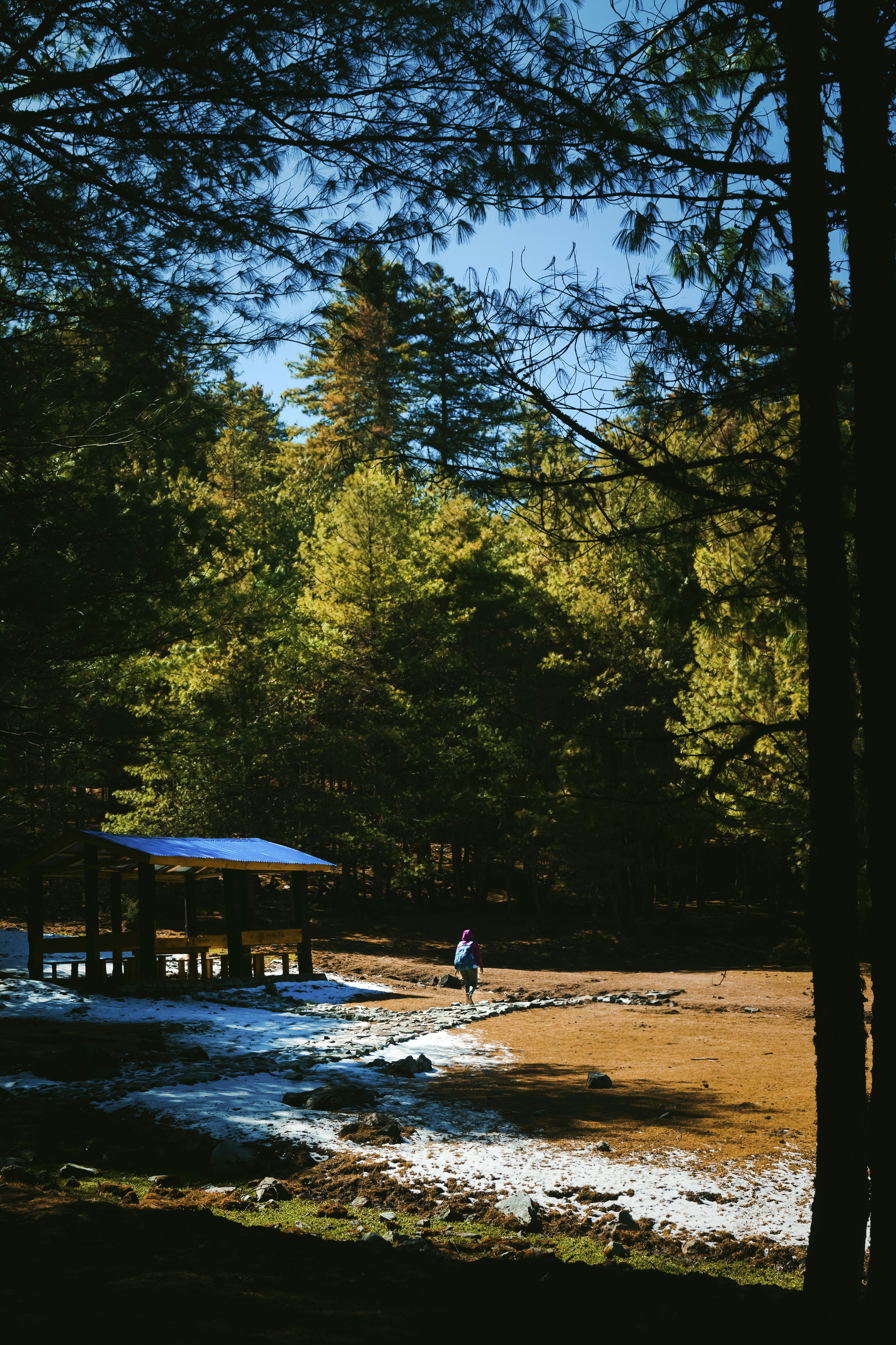A solitary figure strolls across a sunlit clearing, framed by lush green trees and a tranquil shelter. Snow remnants hint at the season's transition.