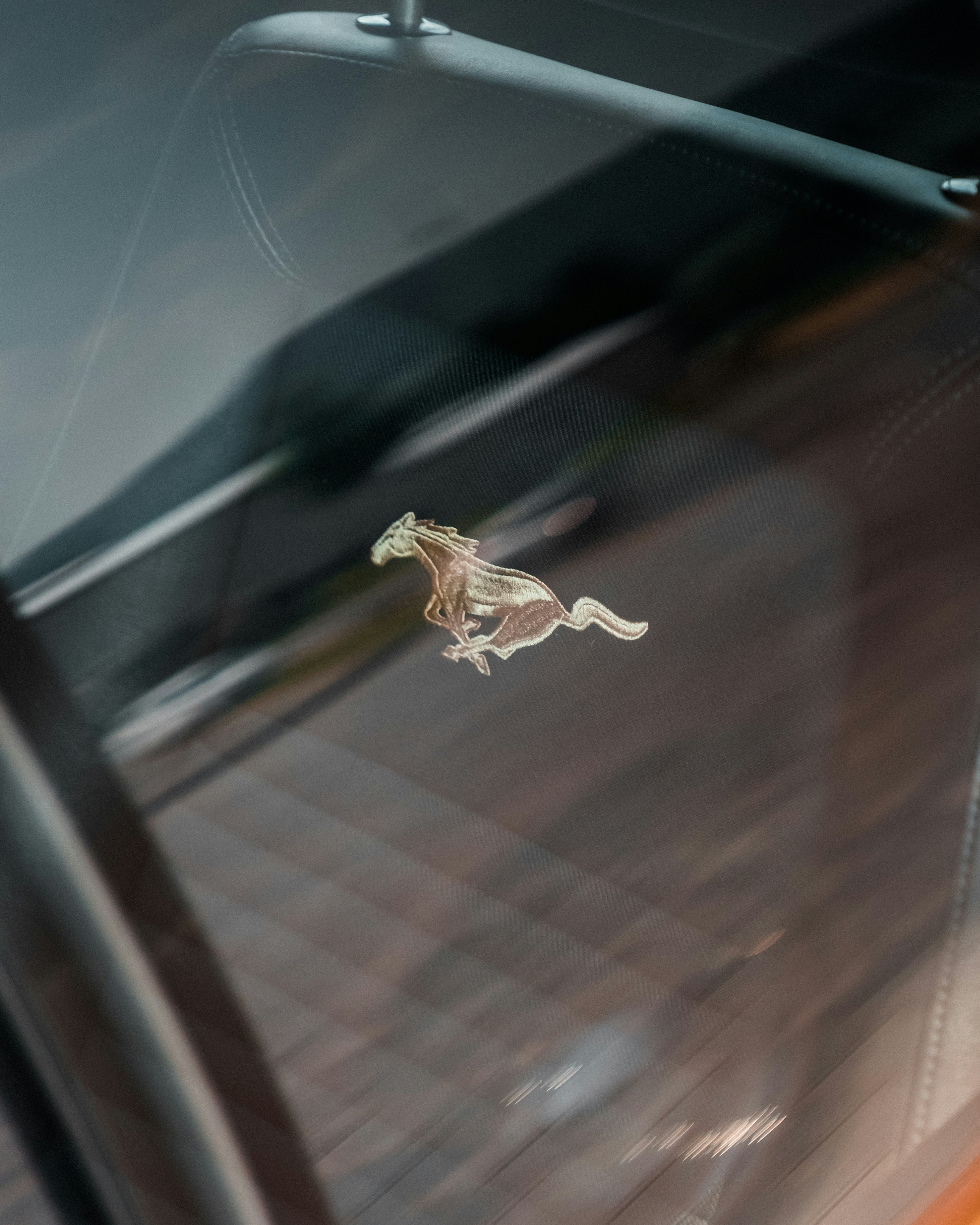 white and brown insect on glass window