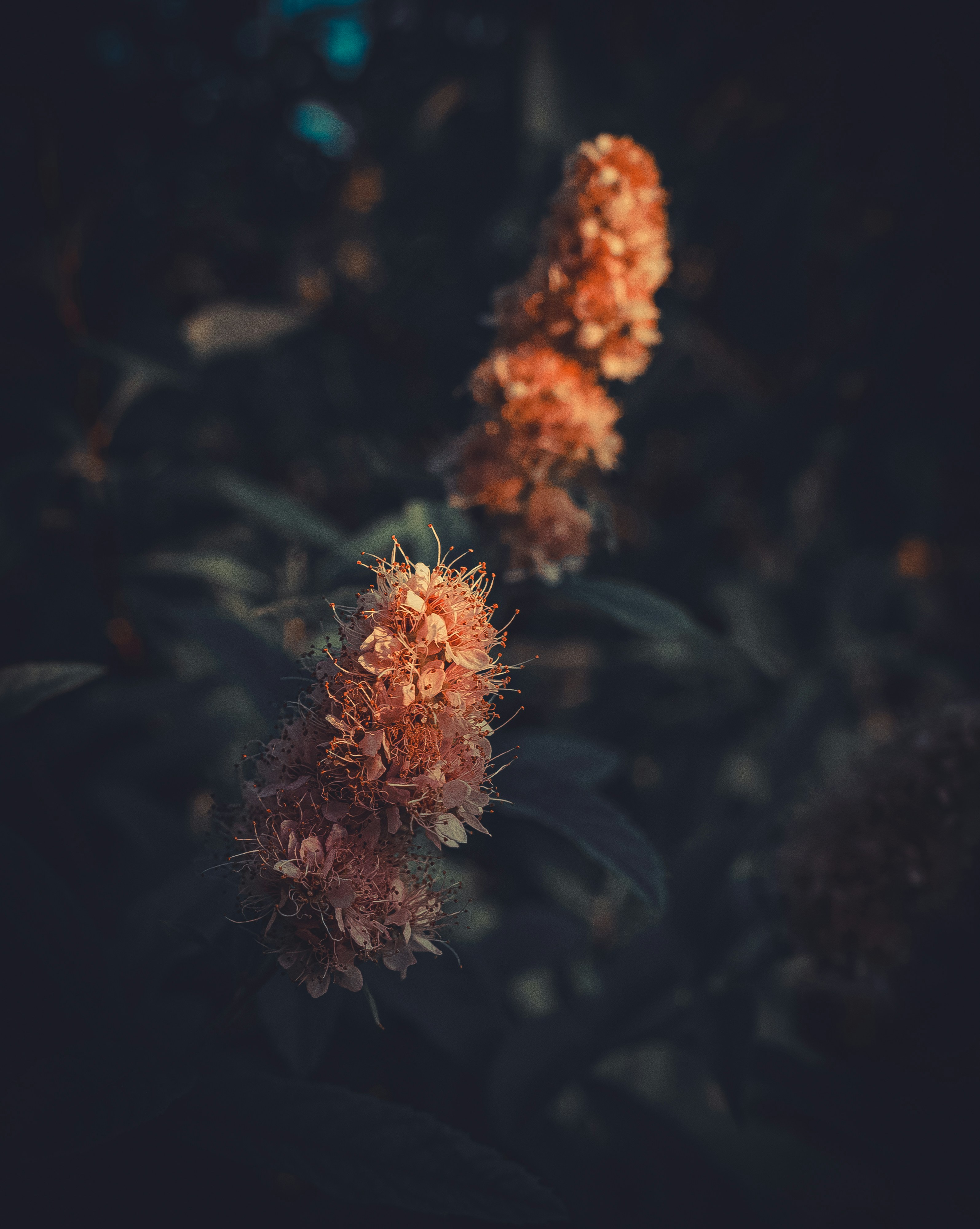 Amber Spires Against a Velvet Night Garden