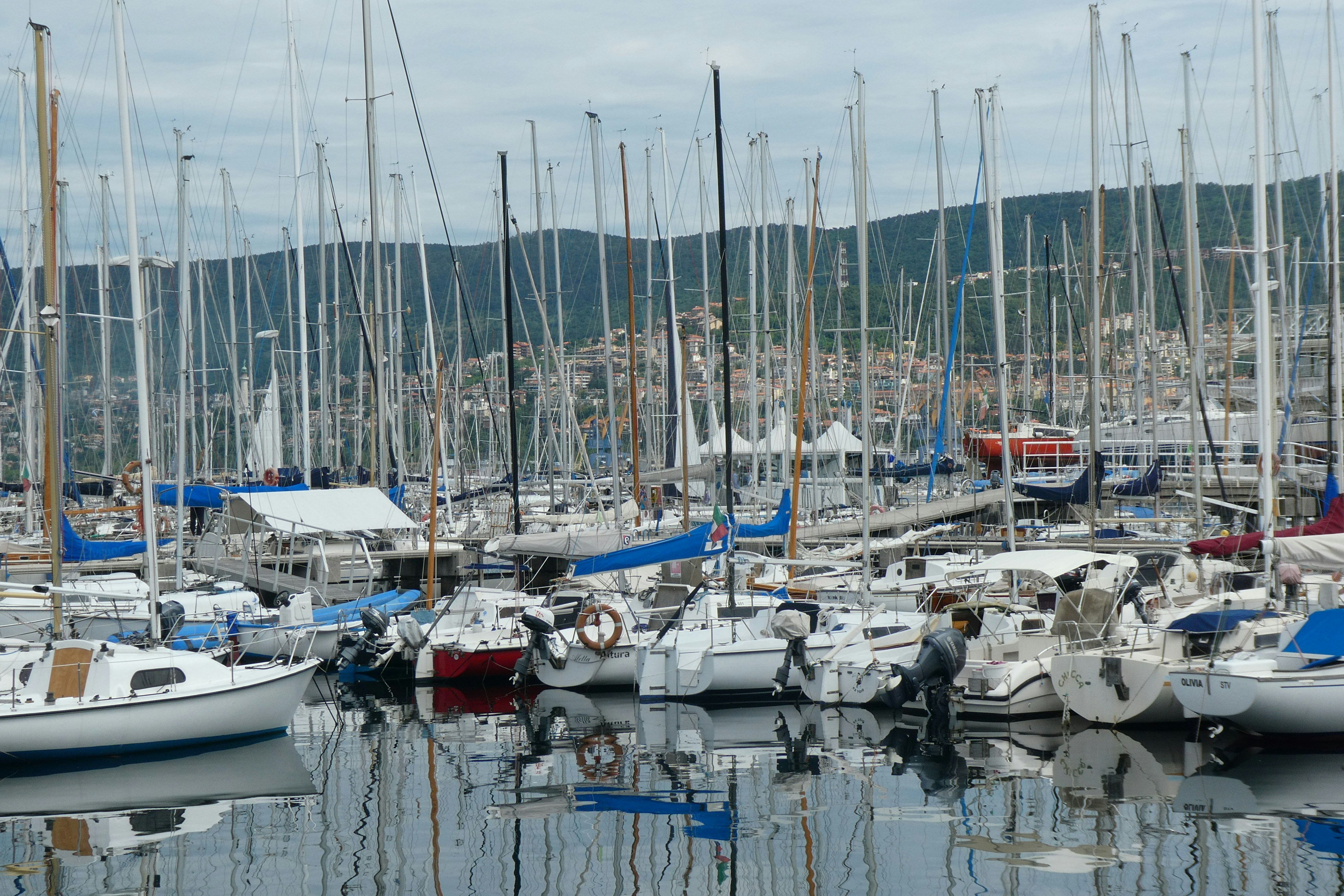 White and blue boats moored at a bustling dock with distant hills in the background.
