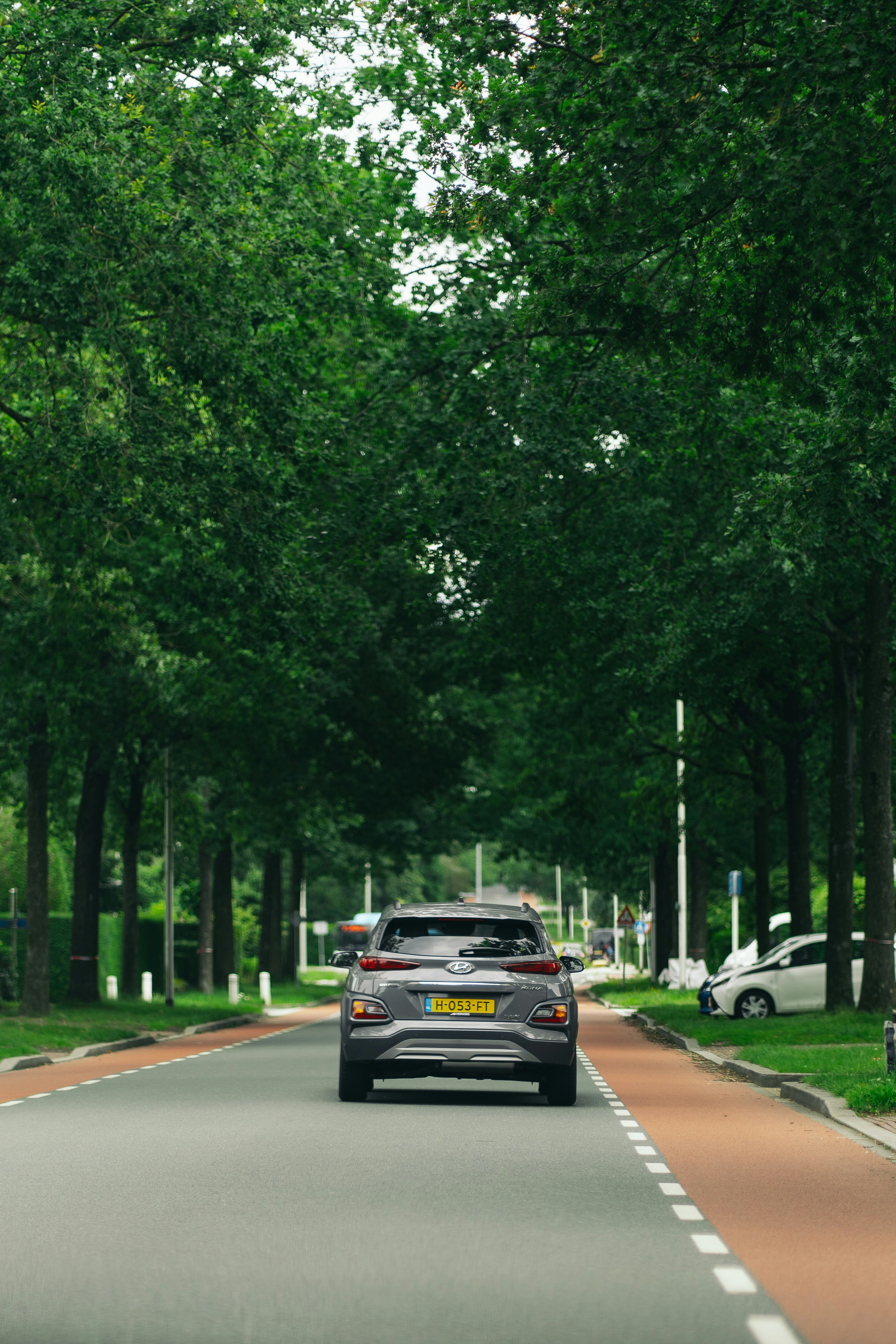Through the Green Corridor: A Sedan on a Tree-Lined Boulevard