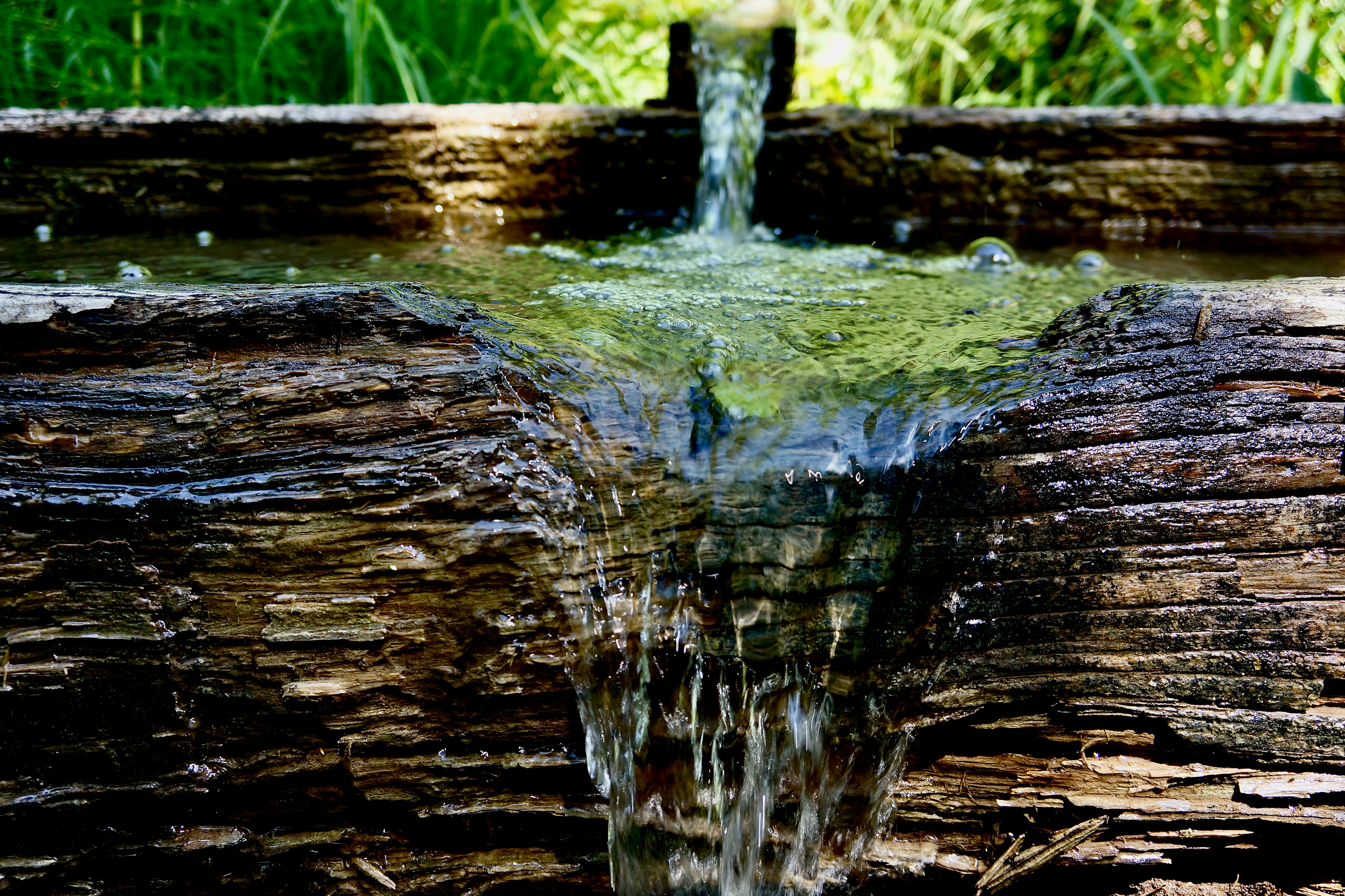 A close up of a water fountain on a log photo – Free Land Image on Unsplash