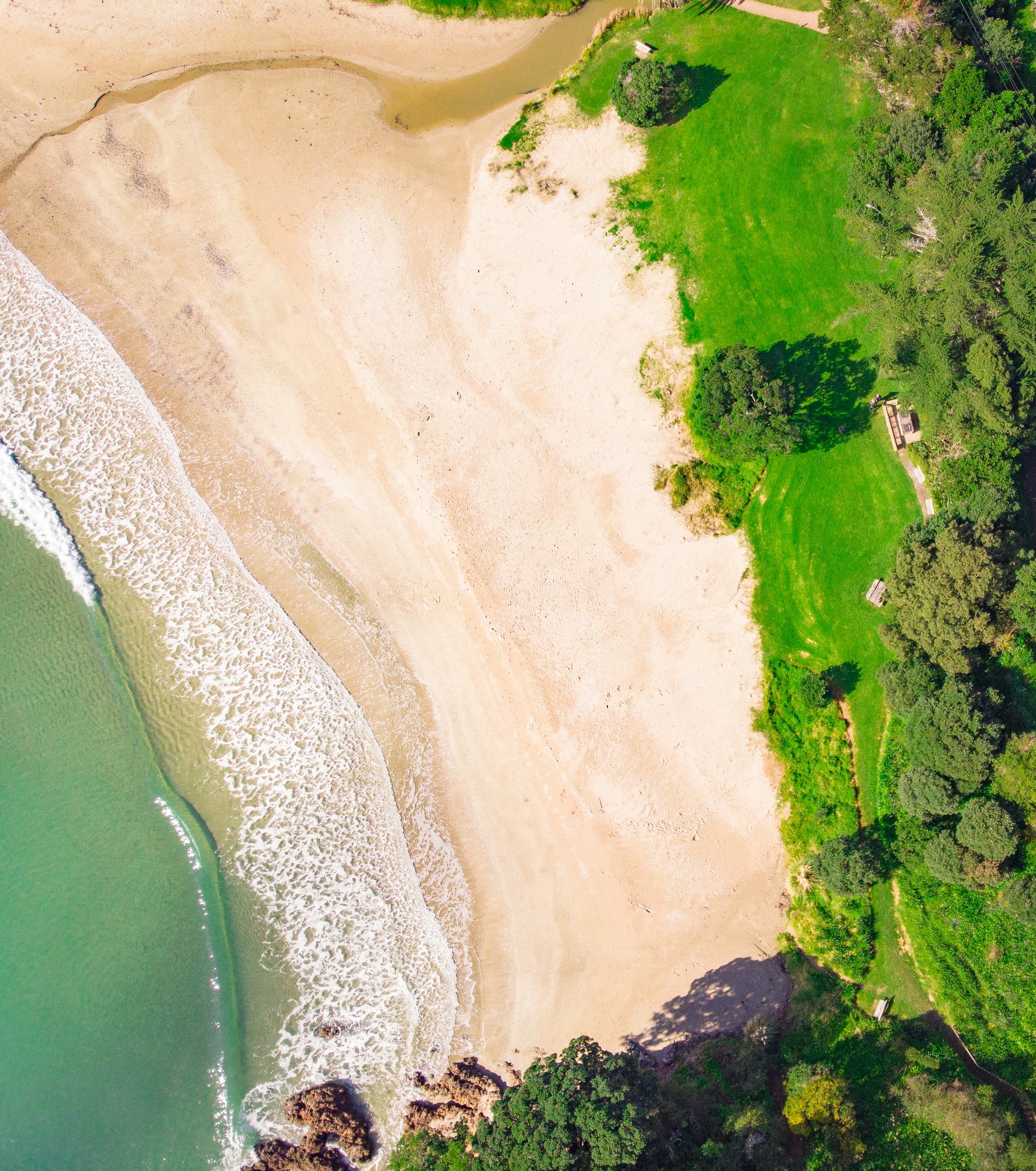 Coastal Ribbon: Aerial Portrait of a Beach Curve Framed by Forest