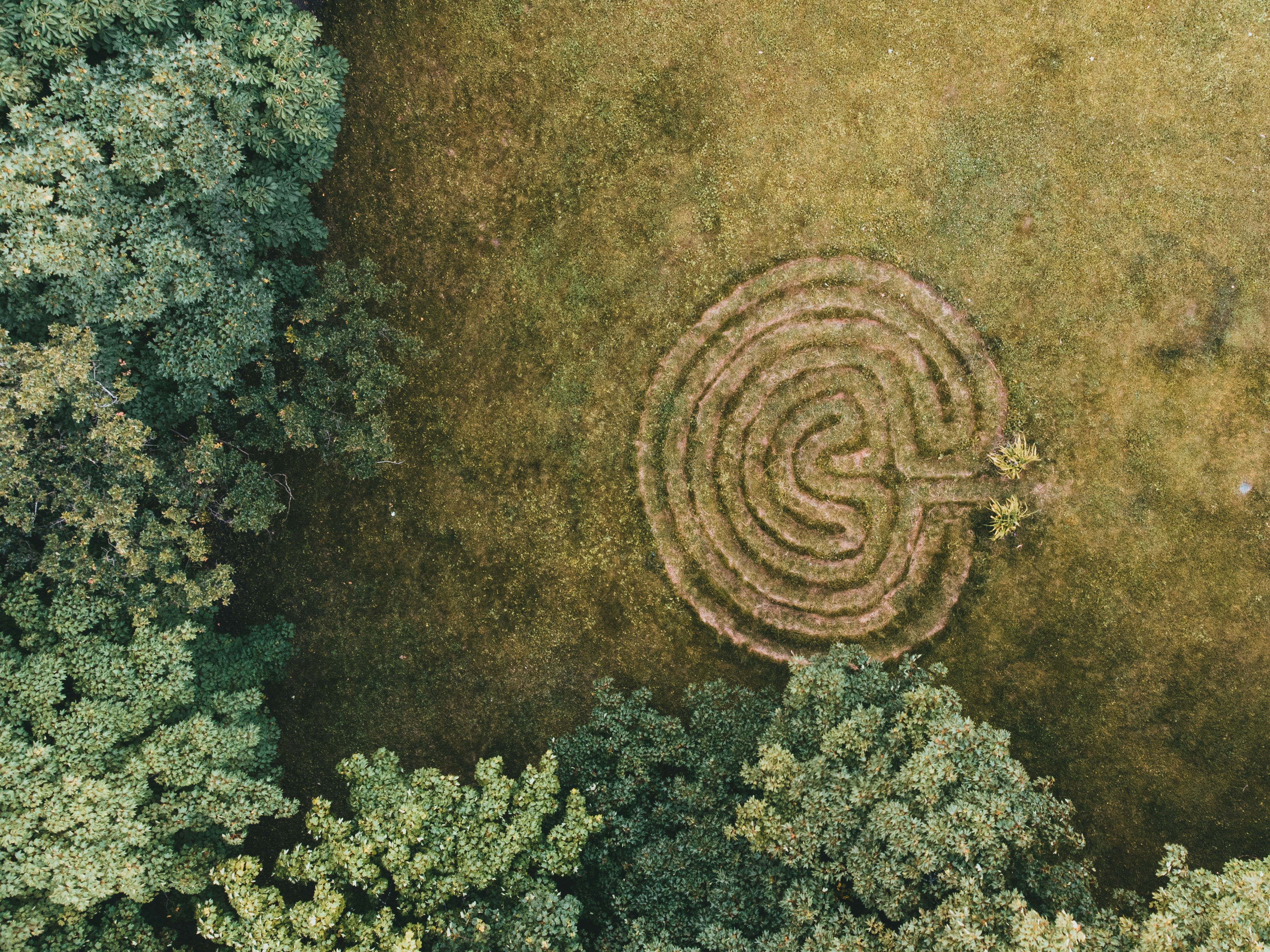 1000+ Labyrinth Pictures | Download Free Images on Unsplash