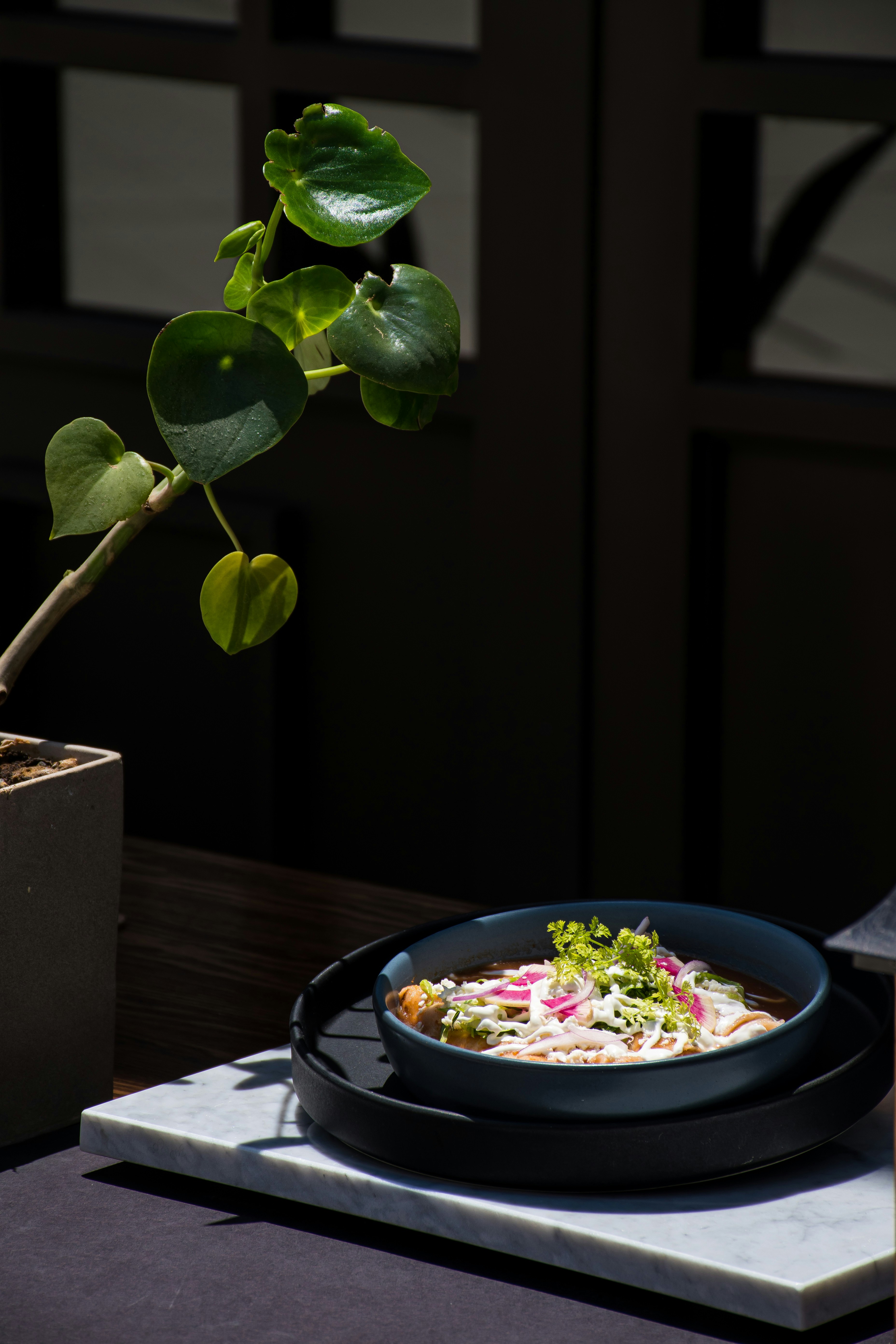 Deliciosas enchiladas rojas, acompañadas de crema, queso, rábano sandia, cilantro y lechuga. | green plant on black pot