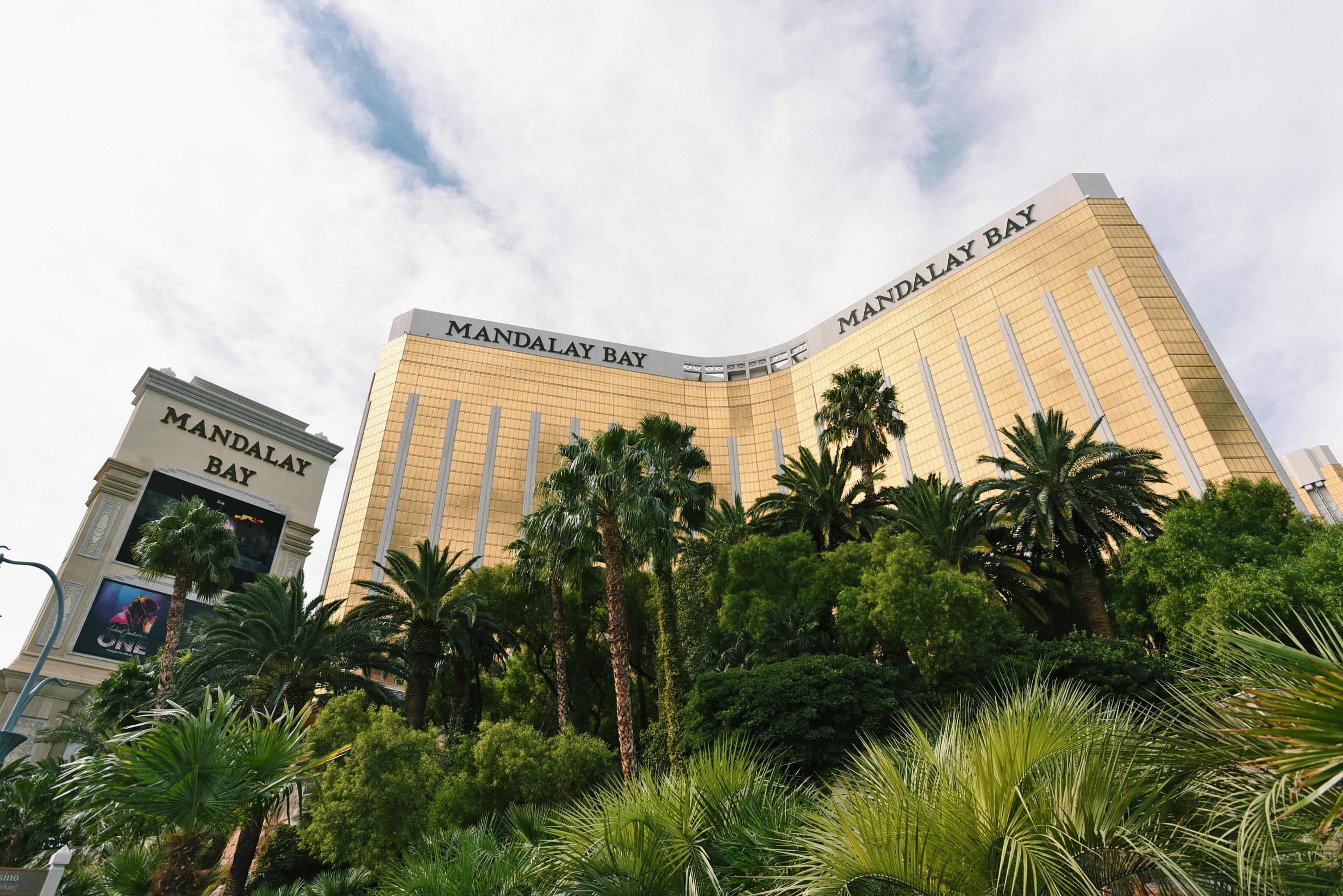 Mandalay Bay's striking golden facade surrounded by lush palm trees and vibrant greenery. A visual representation of luxury in a tropical setting.