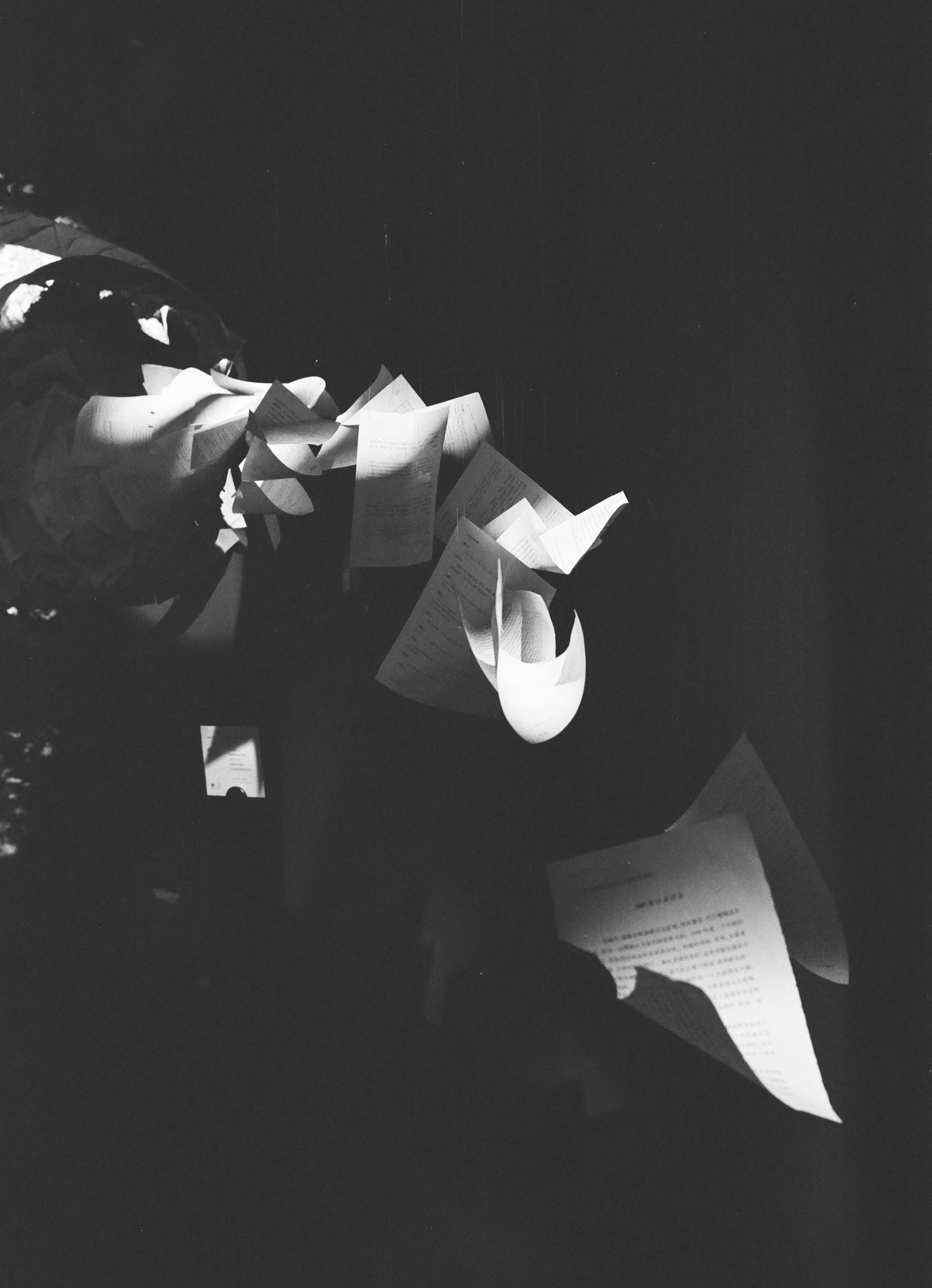 Notes in the Dark: Paper Waves on a Velvet Night