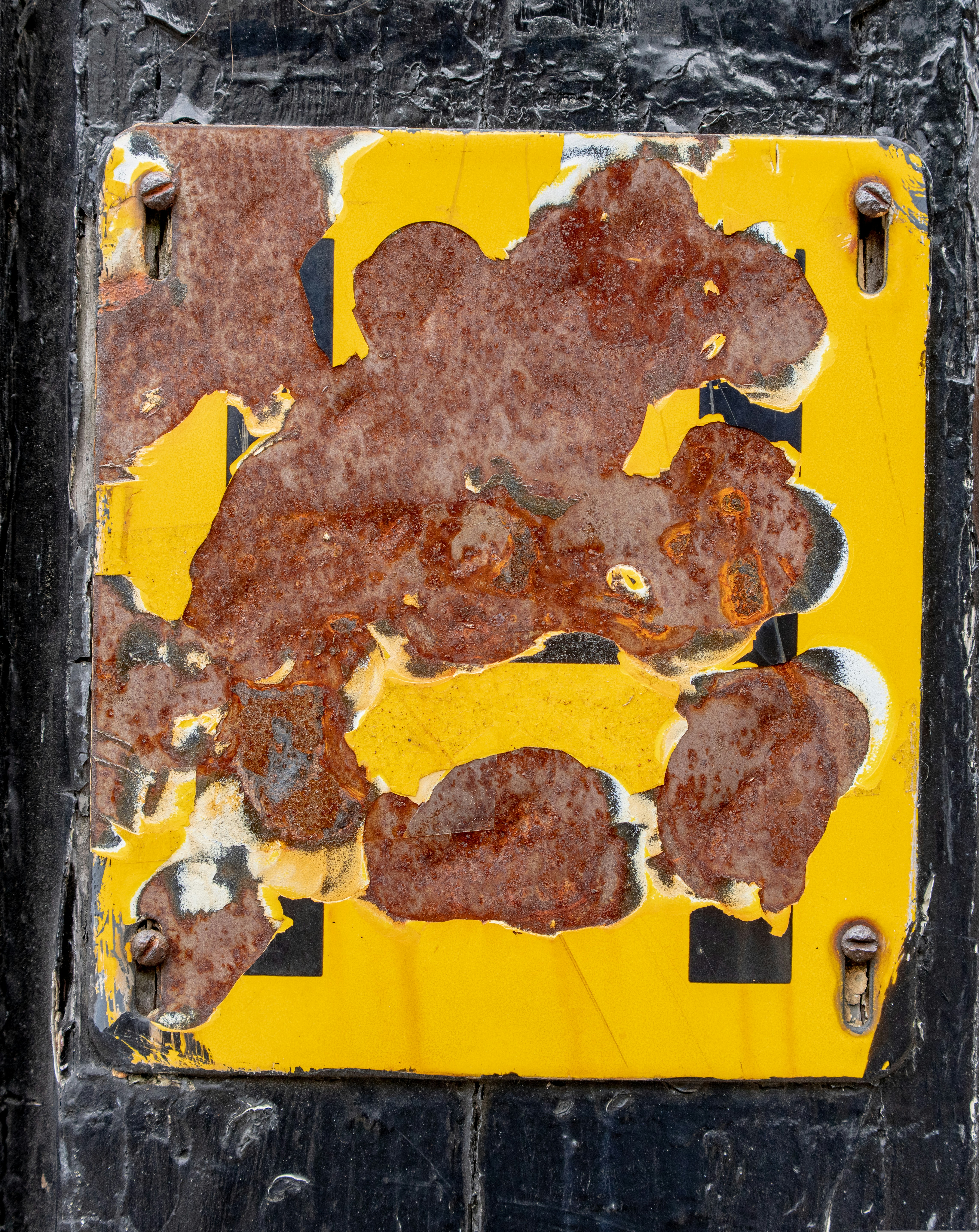 Urban Decay: The Rusted Canvas