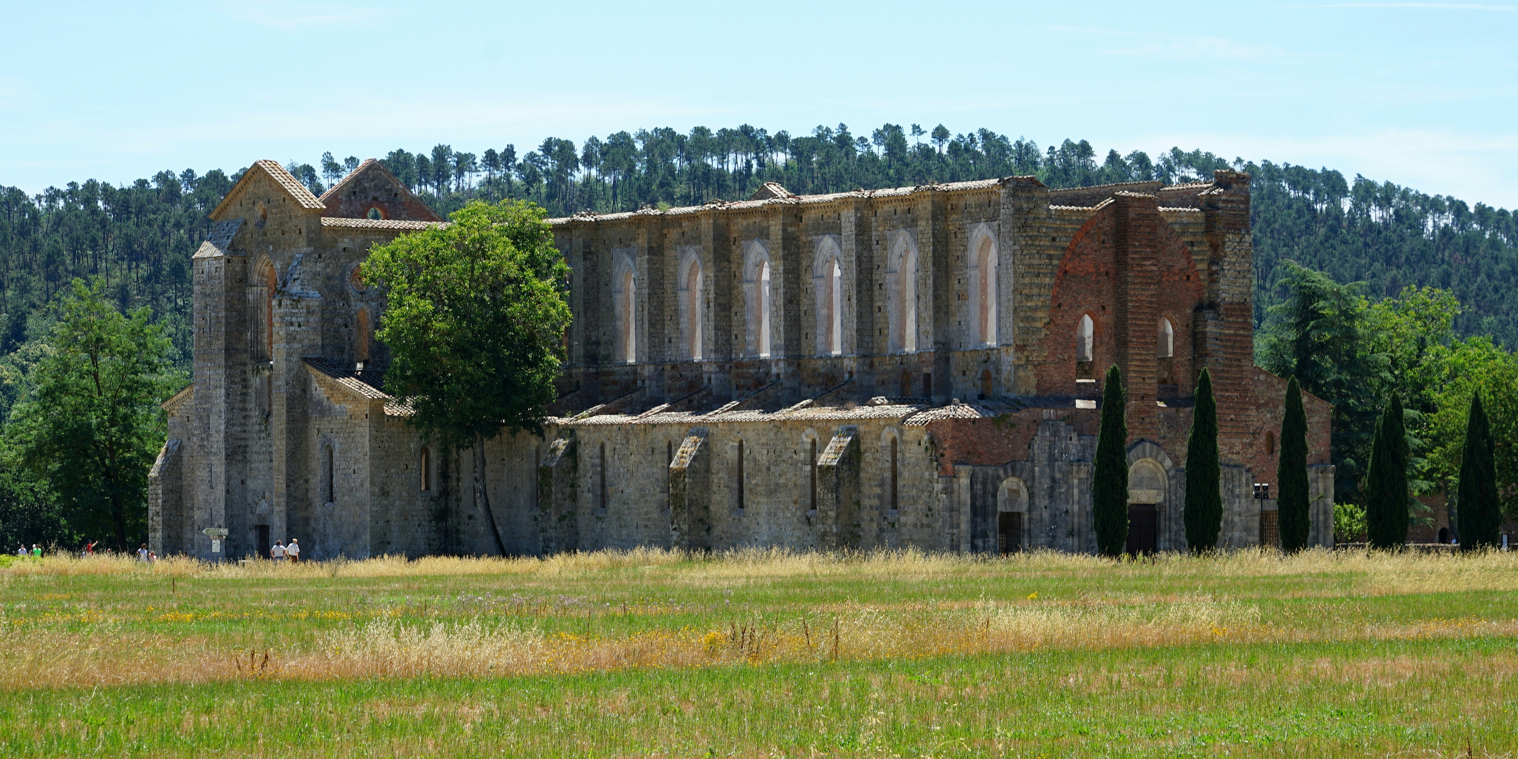 Weathered Grandeur: Stone Abbey Ruins Framed by a Quiet Field