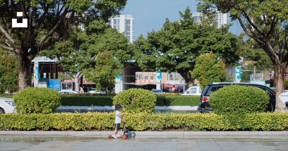 낮에 푸른 나무 근처에 주차 된 검은 차 사진 Unsplash의 무료 거리 이미지