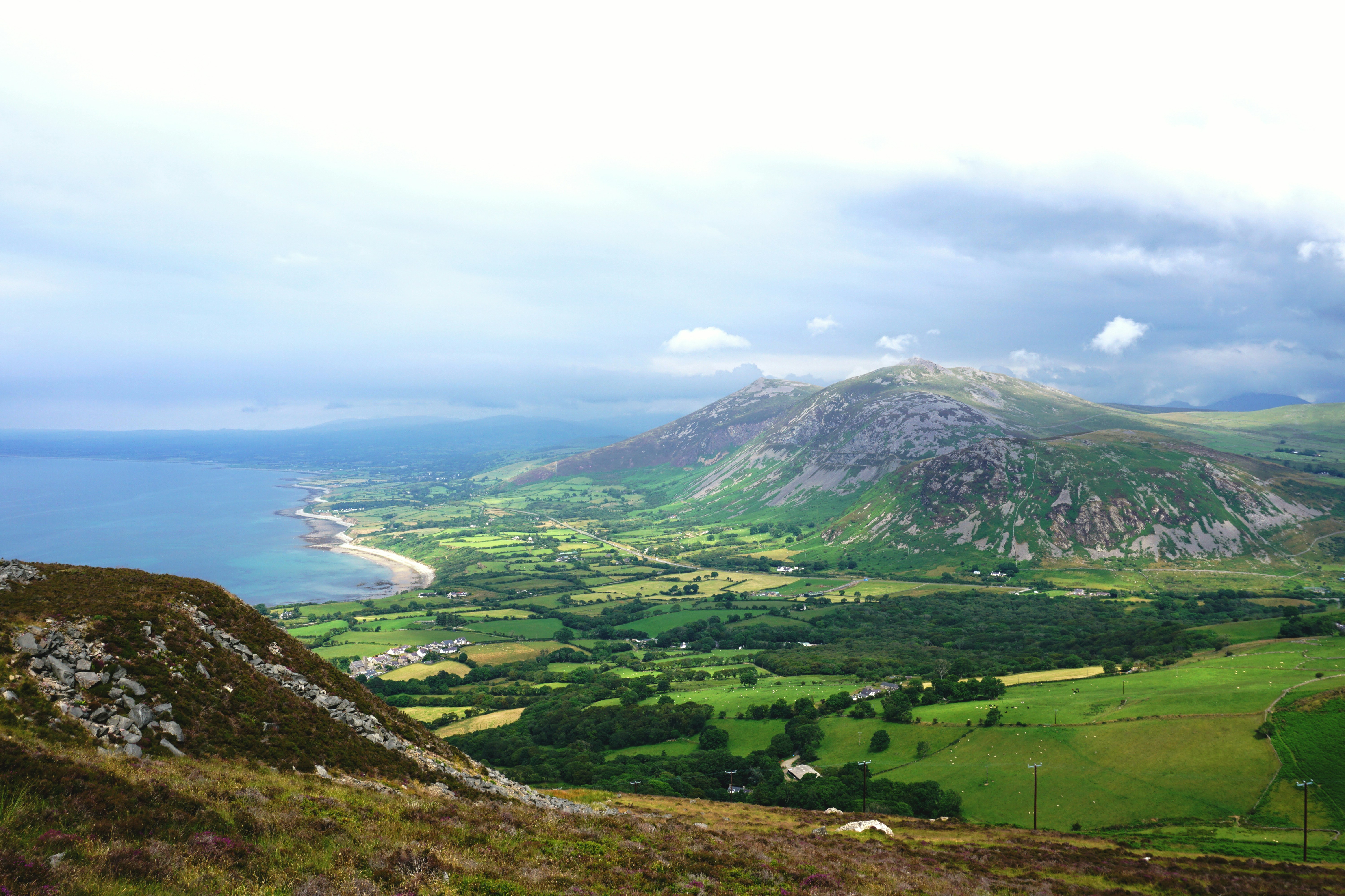 Benjamin Williams (@benwilliams) | Unsplashフォトコミュニティ