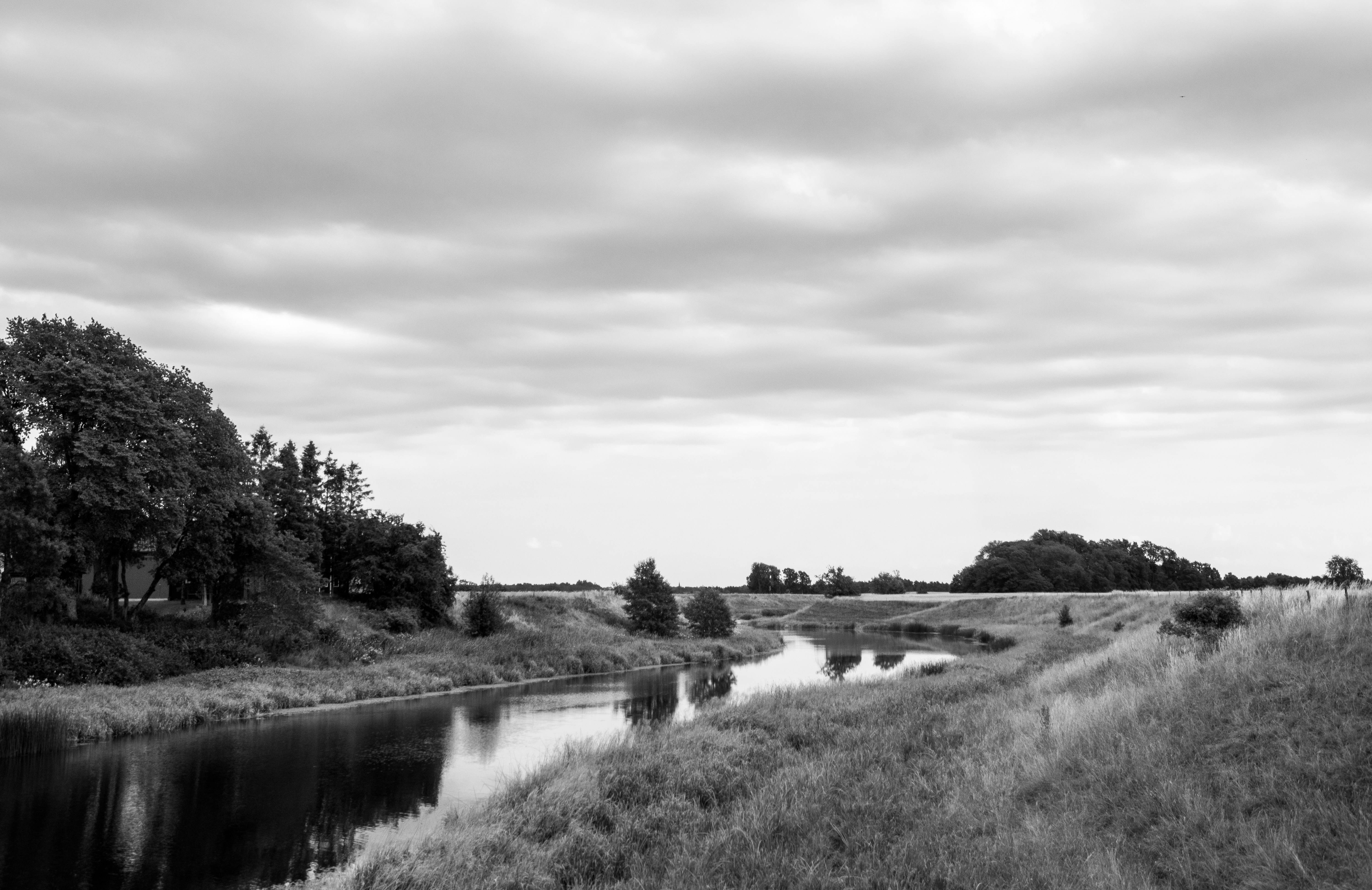 Grayscale photo of river between trees photo – Free Sverige Image on ...