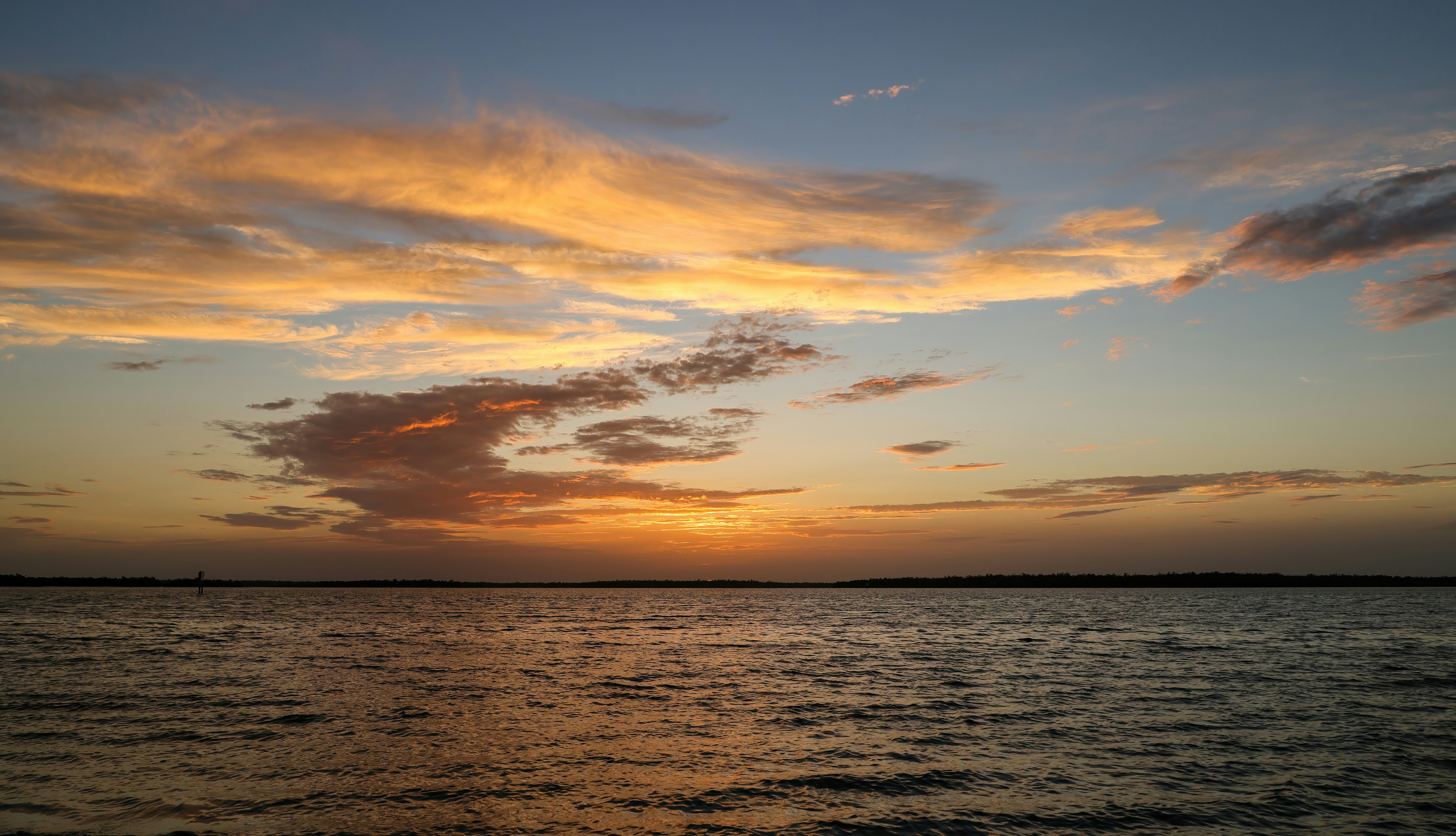 STEPHEN SHEPPARD (@bydebay) | Unsplash Photo Community