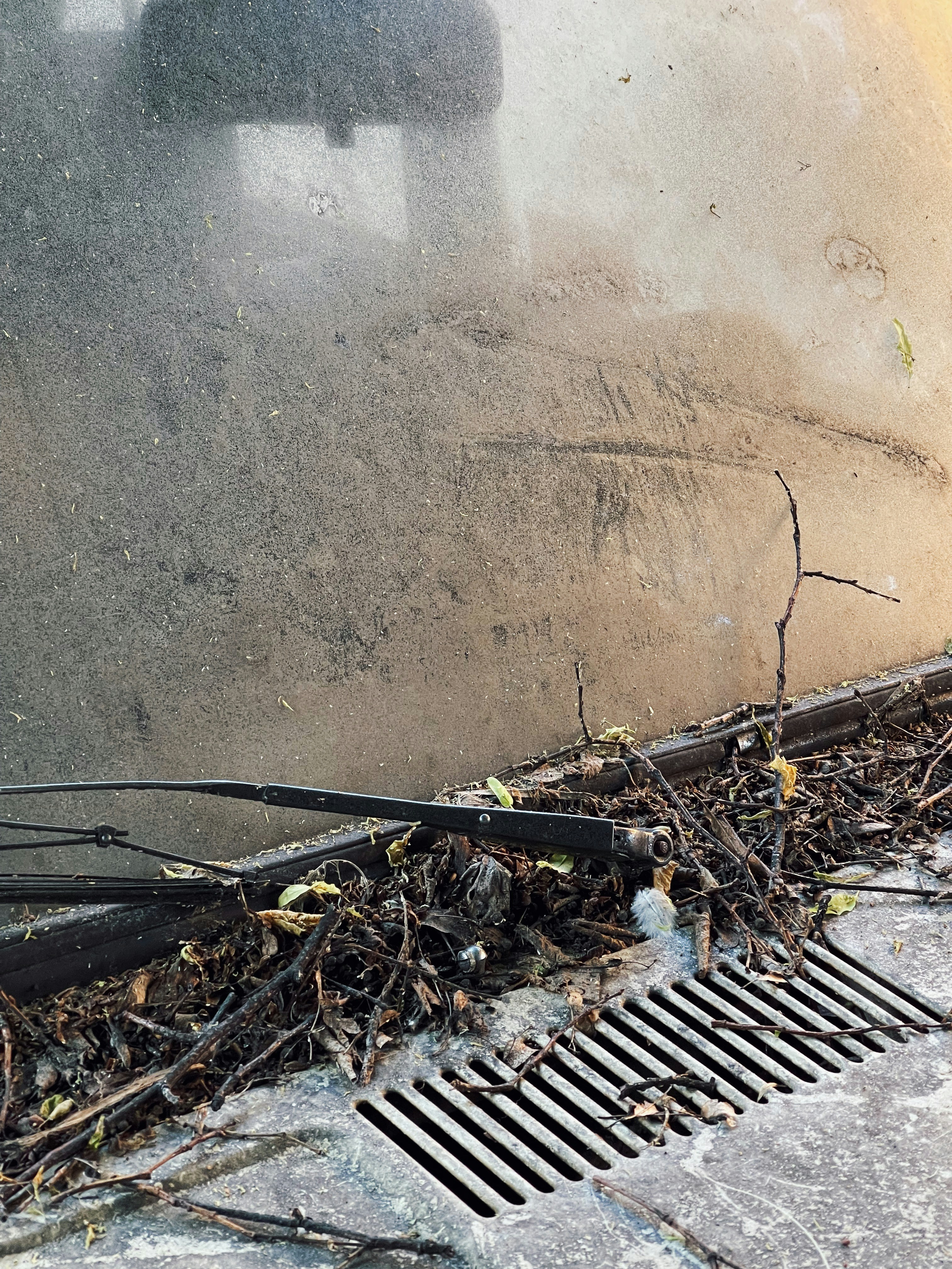 Urban Drainage: Leaves, Debris, and a Grate Framed by Dirty Glass