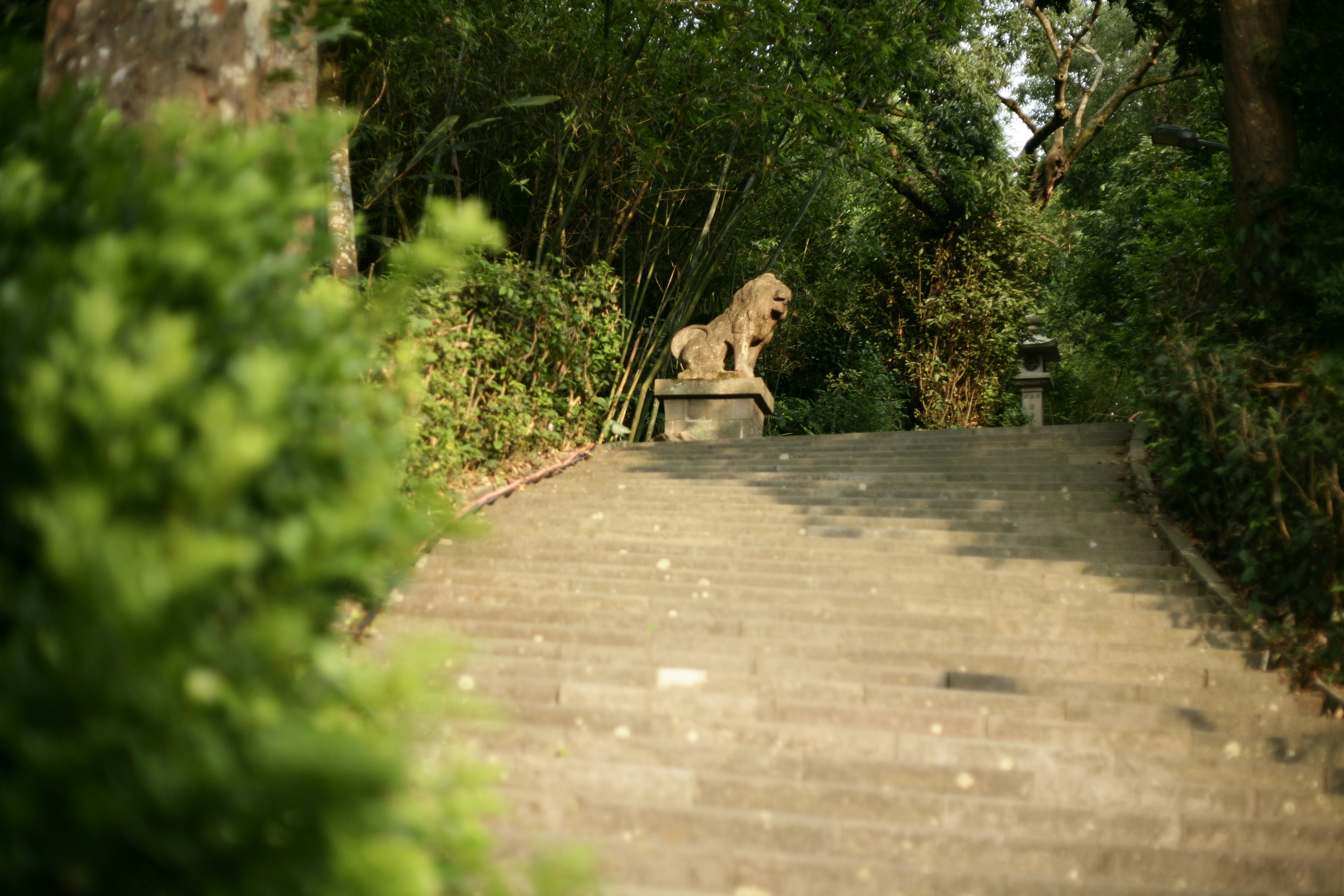 A stone lion statue stands sentinel at the top of a stone staircase, surrounded by lush greenery and bamboo. The scene evokes a sense of tranquility and mystery.