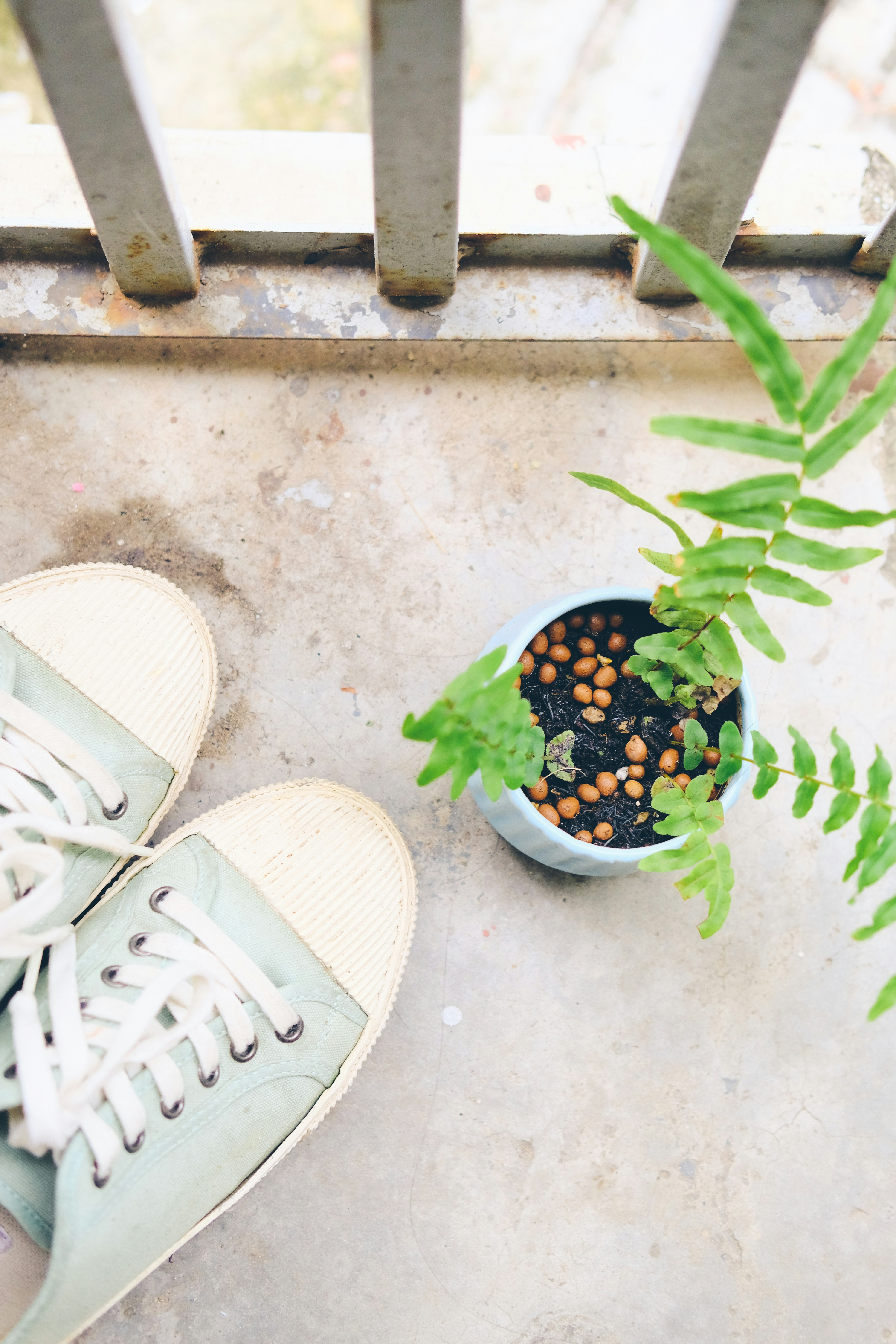 A Quiet Balcony Moment: Mint Sneakers Meet a Fern in a Blue Pot
