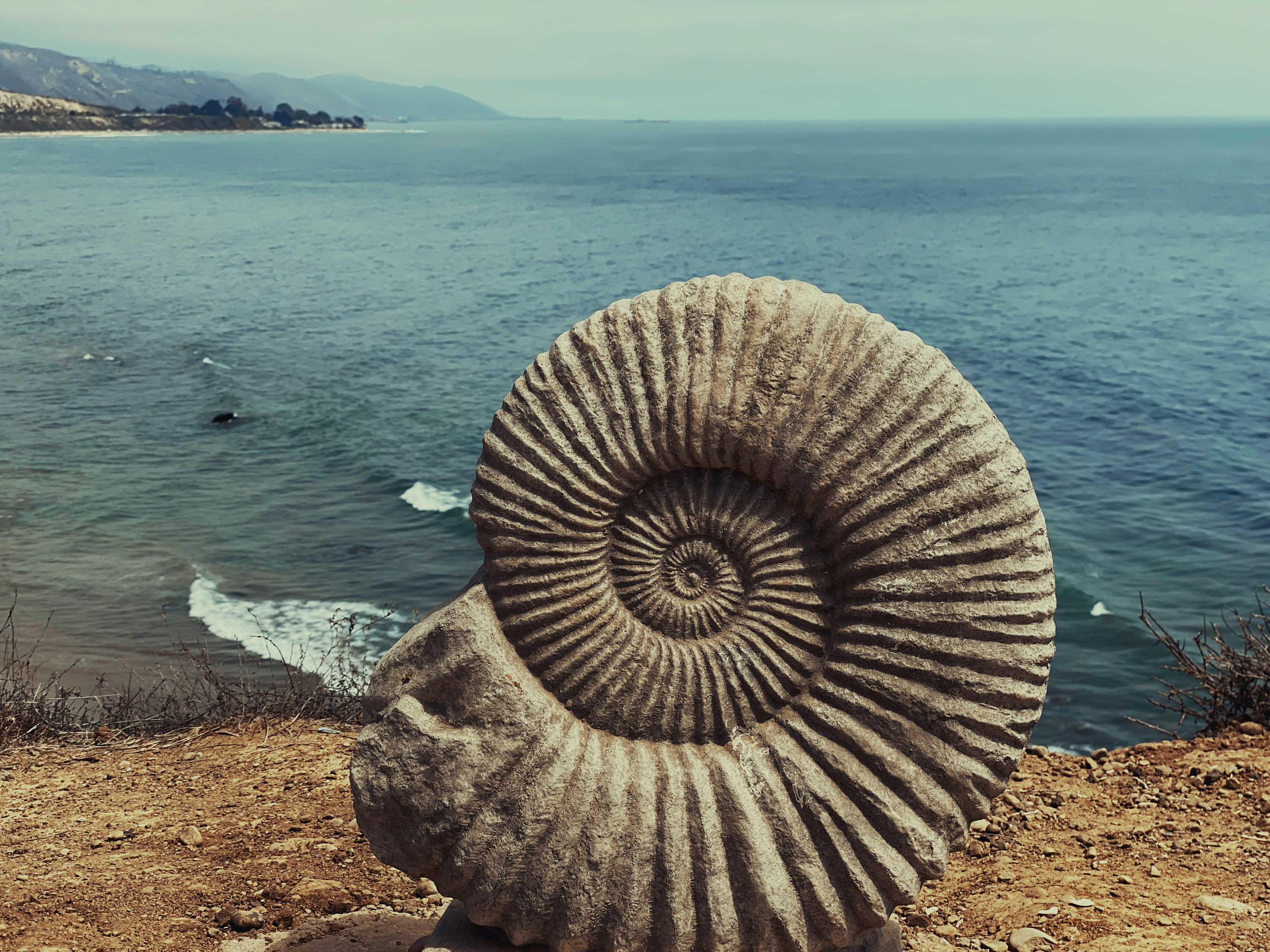 Spiral Sentinel on a Sea Cliff