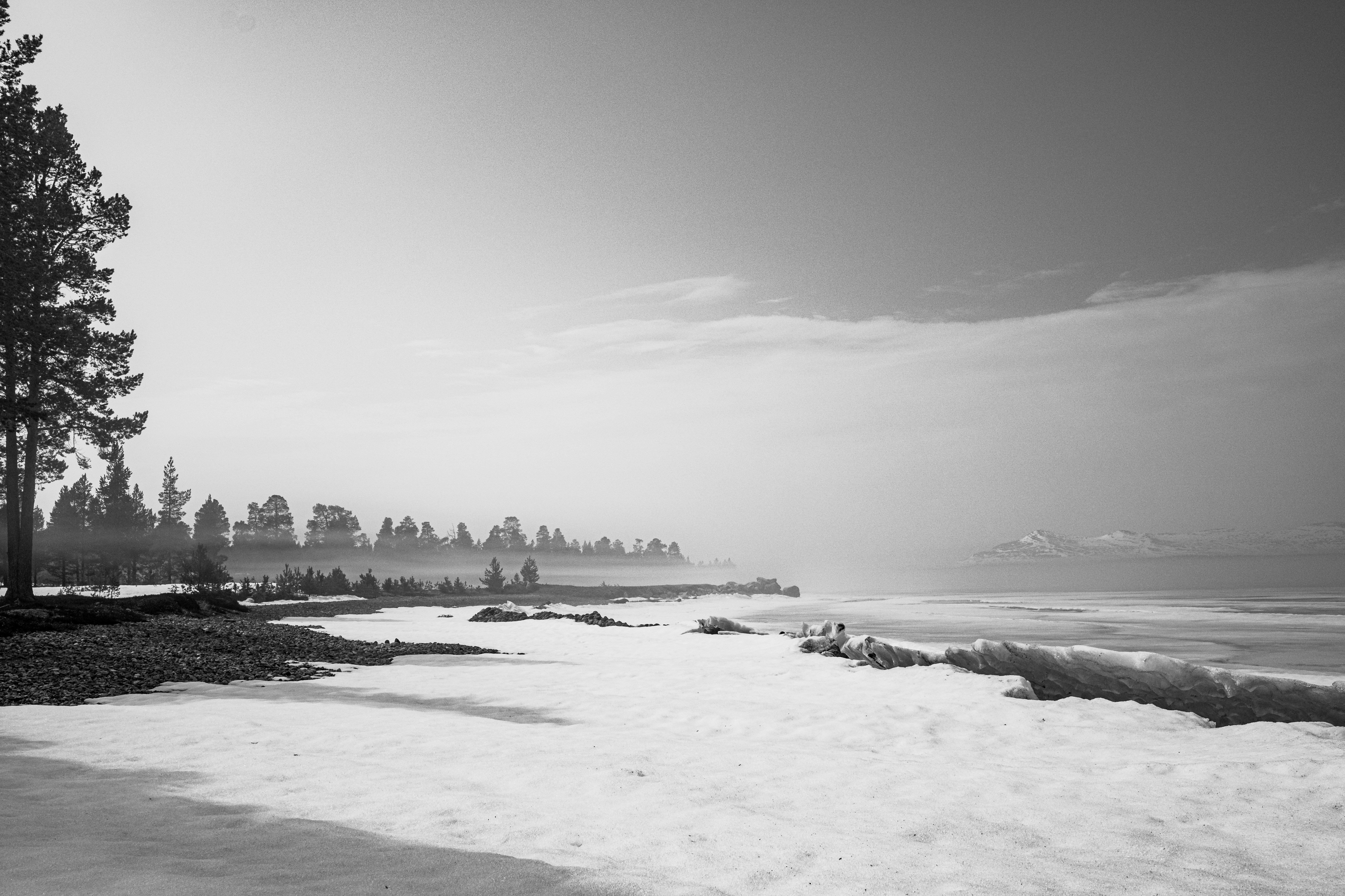 Winter Shoreline in Quiet Monochrome