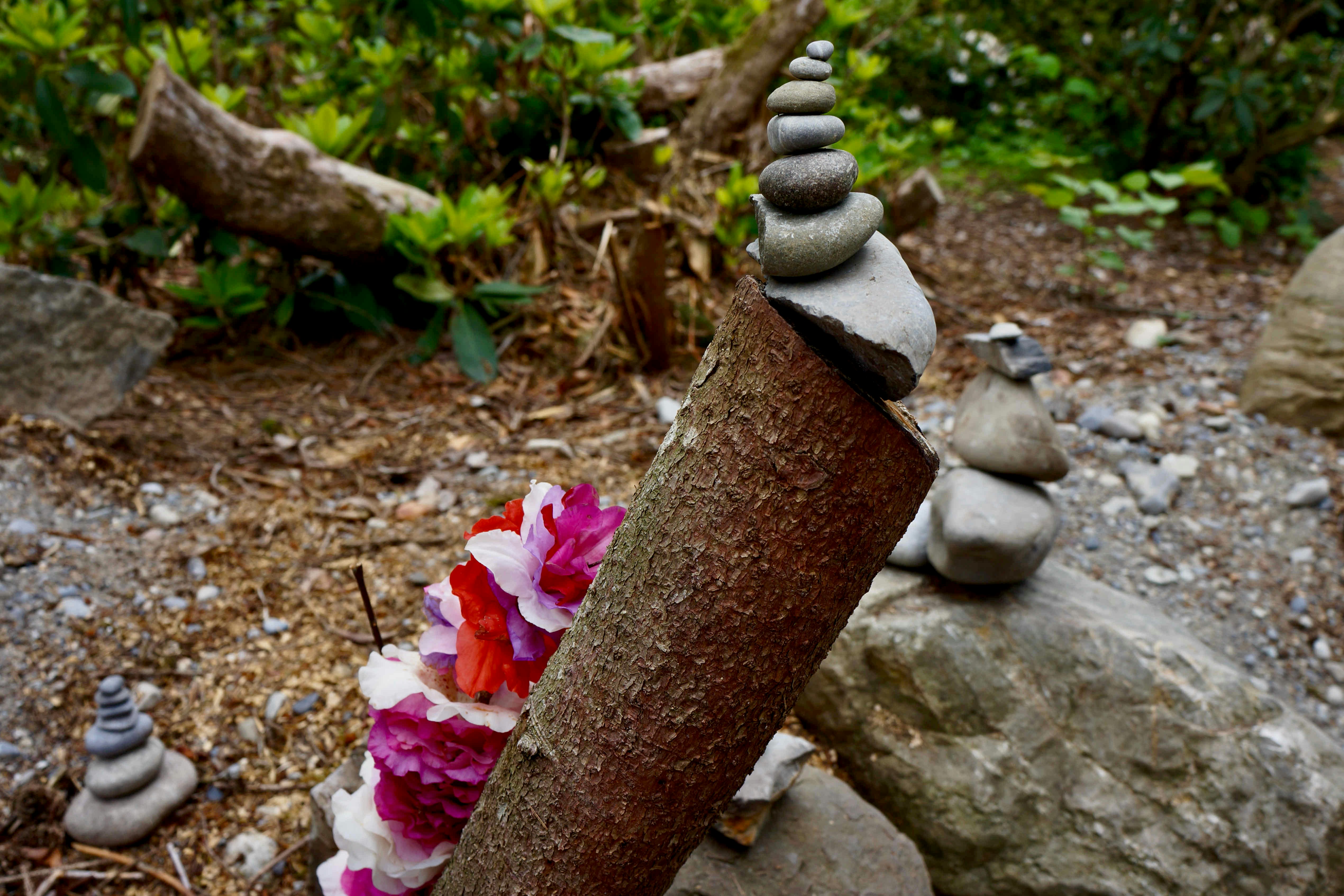 Rusted Spike, Balanced Stones, and Petals: A Quiet Garden Moment