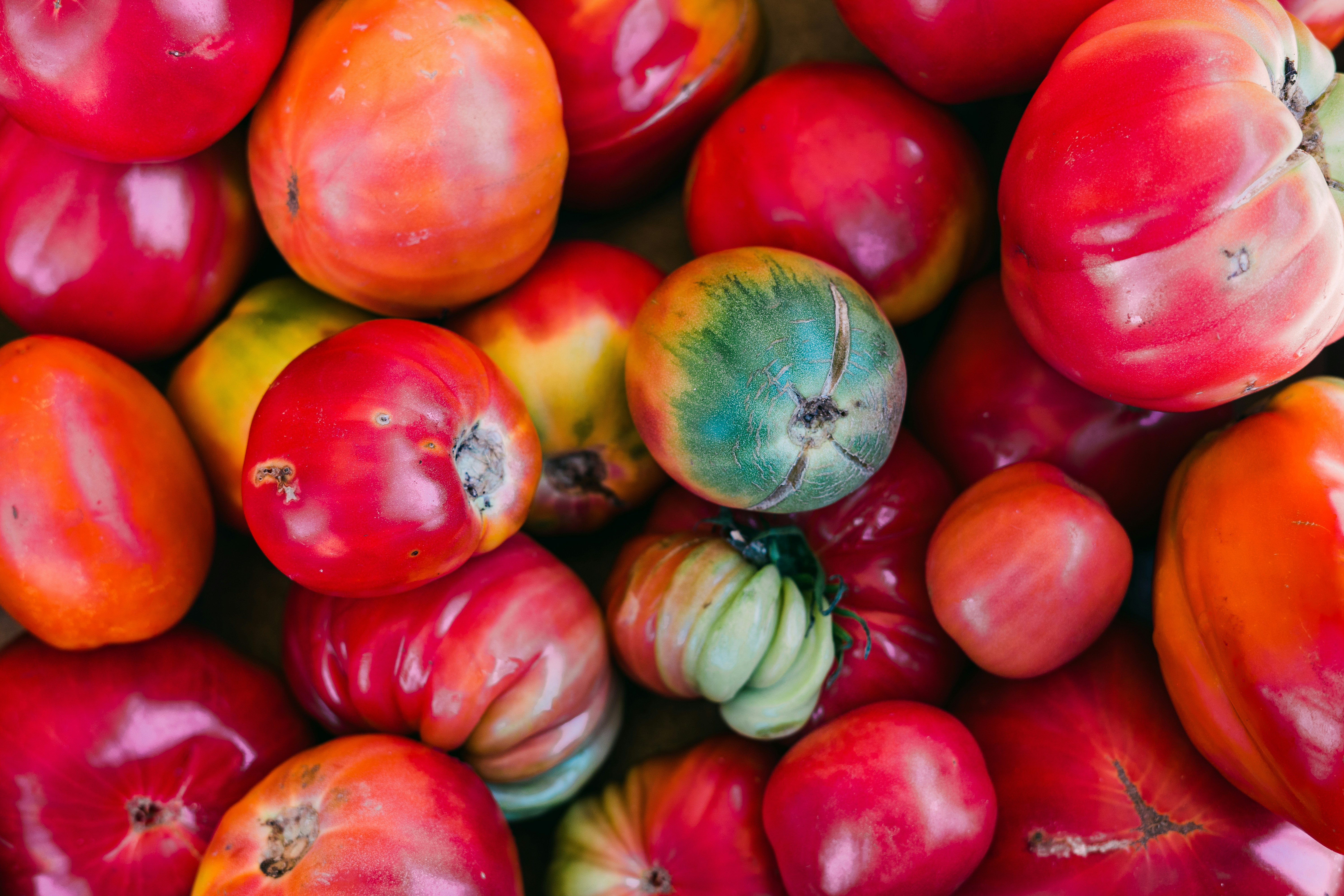Ripe Mosaic: A Close-Packed Patchwork of Tomatoes