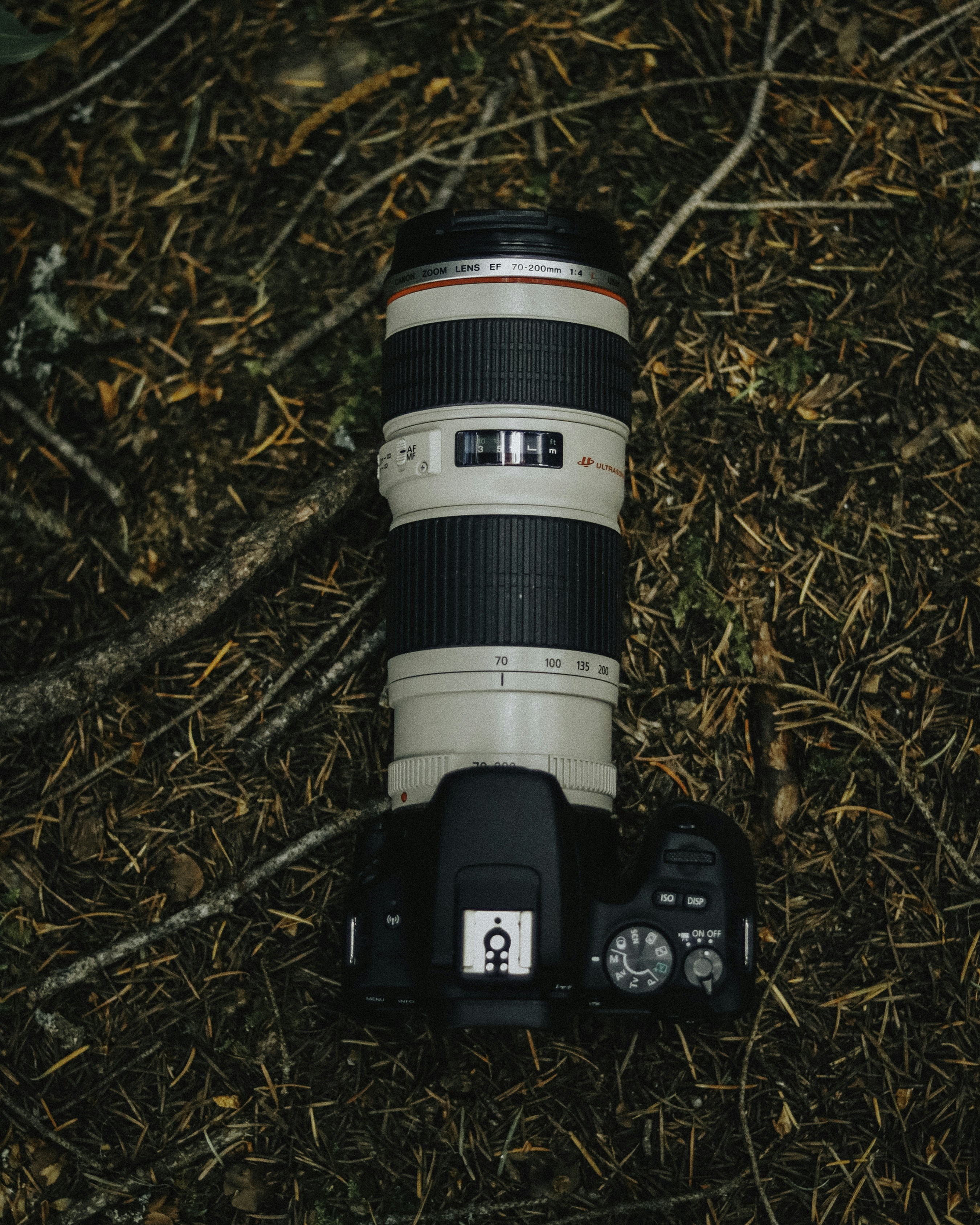 Canon EOS 80D positioned on forest floor beside a professional zoom lens, surrounded by natural elements. 