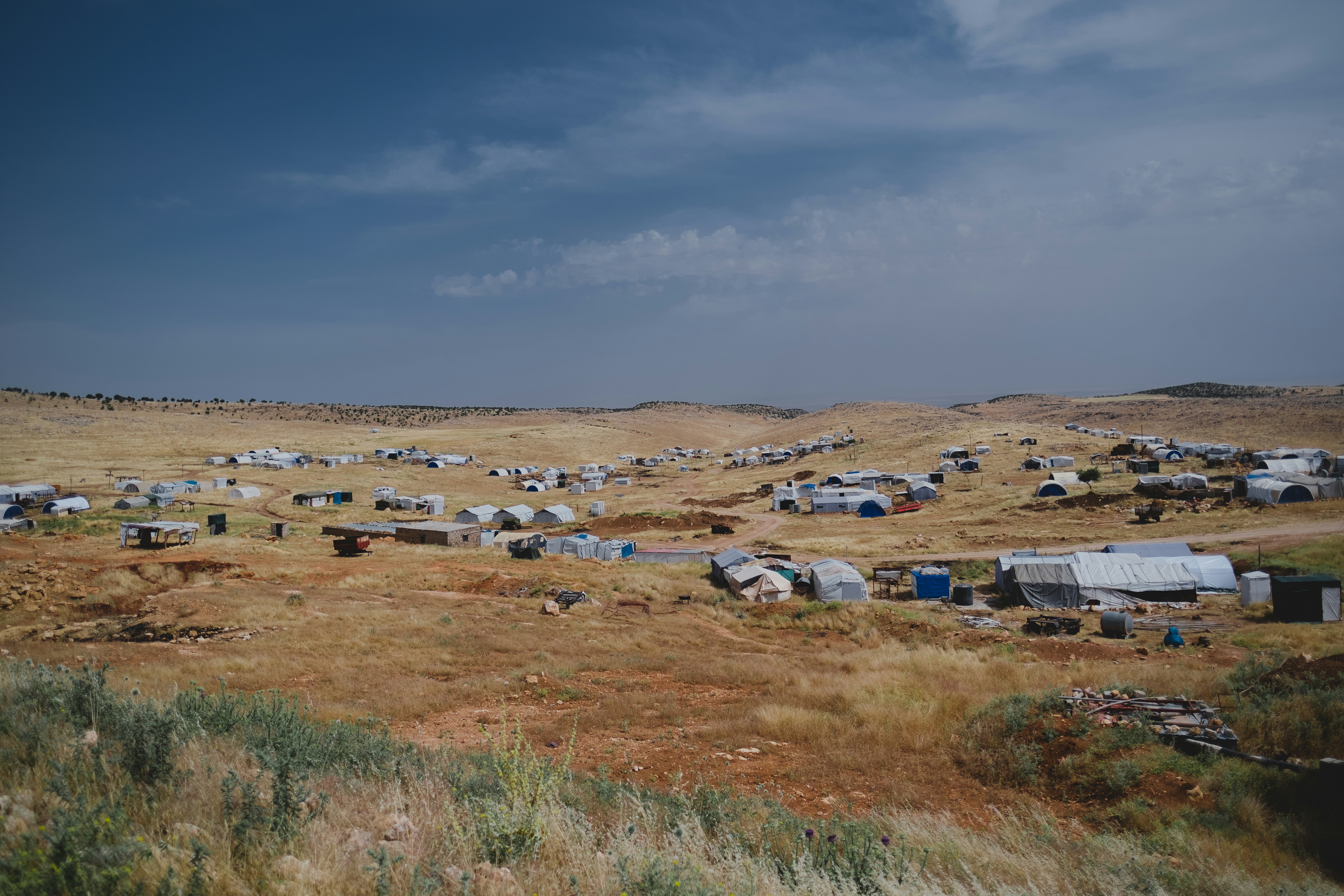 White and black houses on brown grass field under blue sky during ...