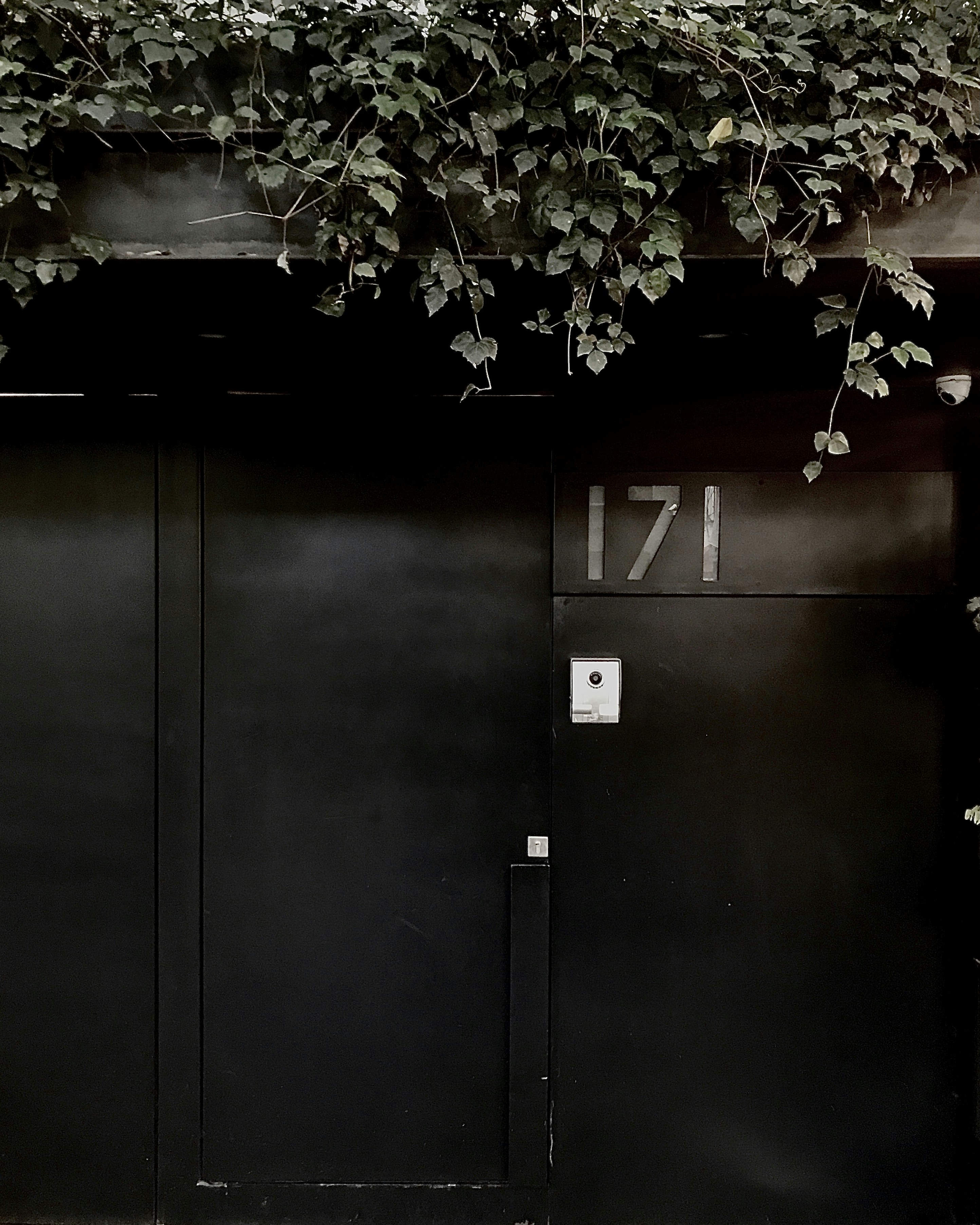 A dark door with the number 171 prominently displayed, partially obscured by lush green vines, hinting at a secretive urban space.