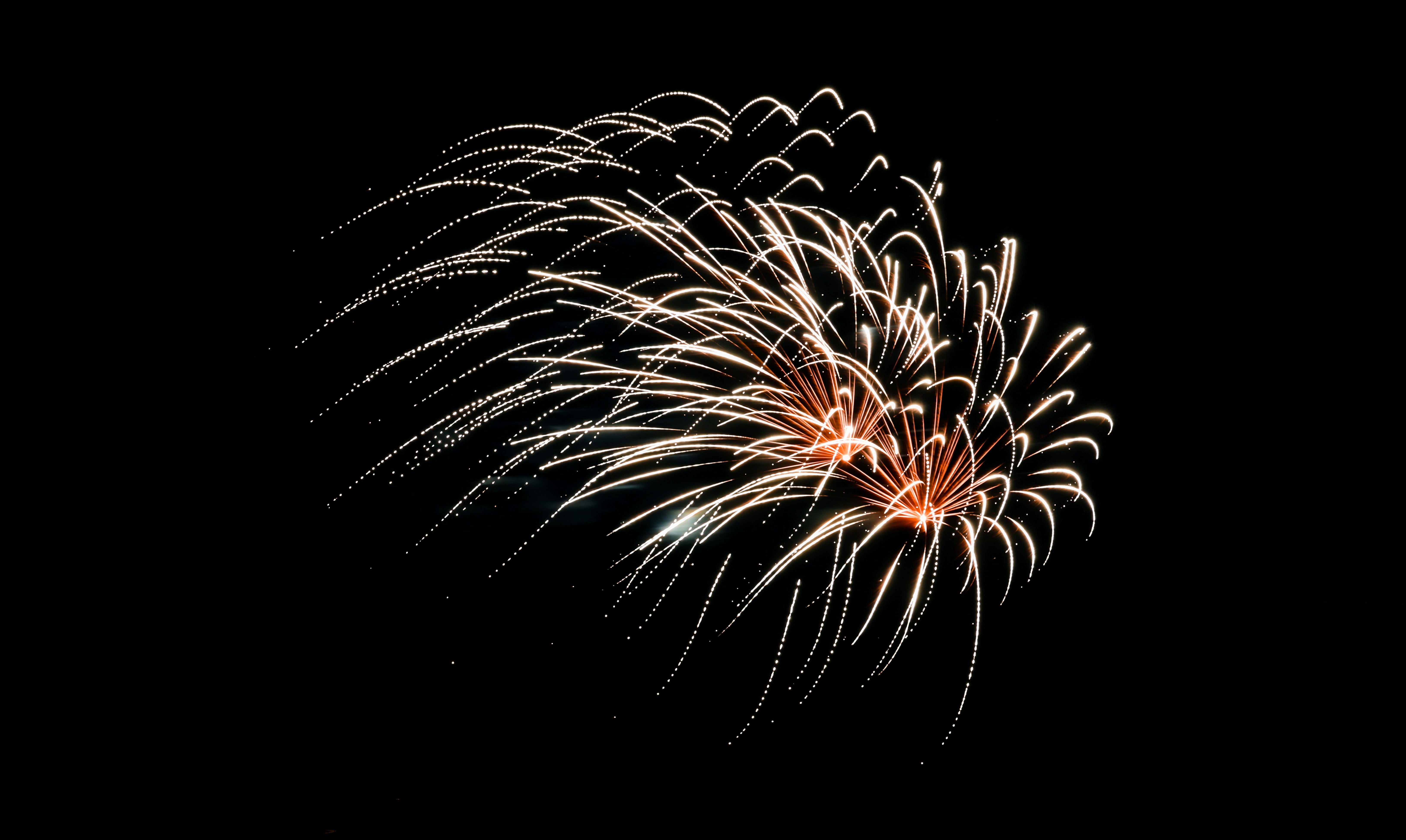 Night Bloom: A Firework Crown Unfurls in the Dark Sky