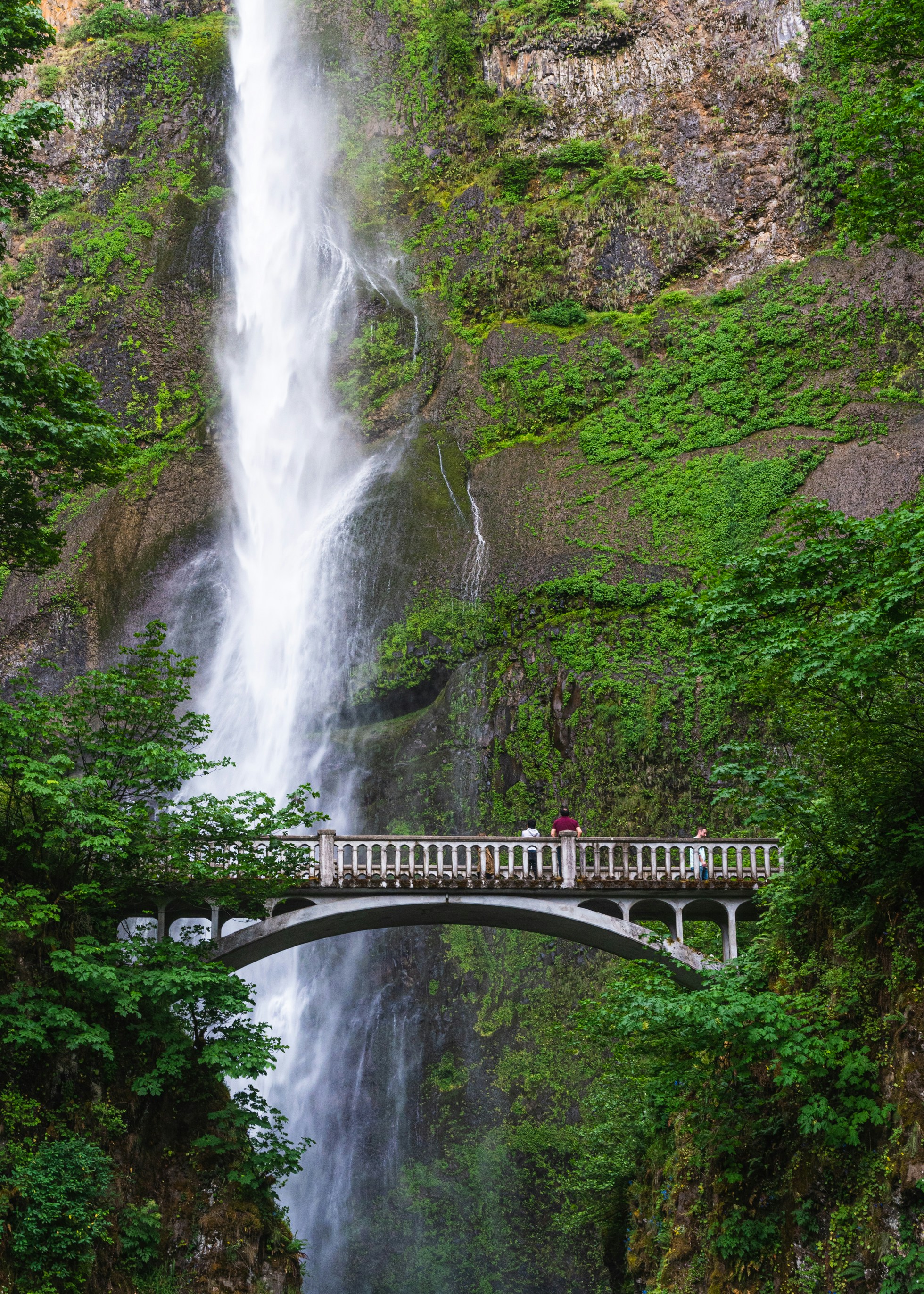 Bridge over waterfalls during daytime photo – Free Oregon Image on Unsplash