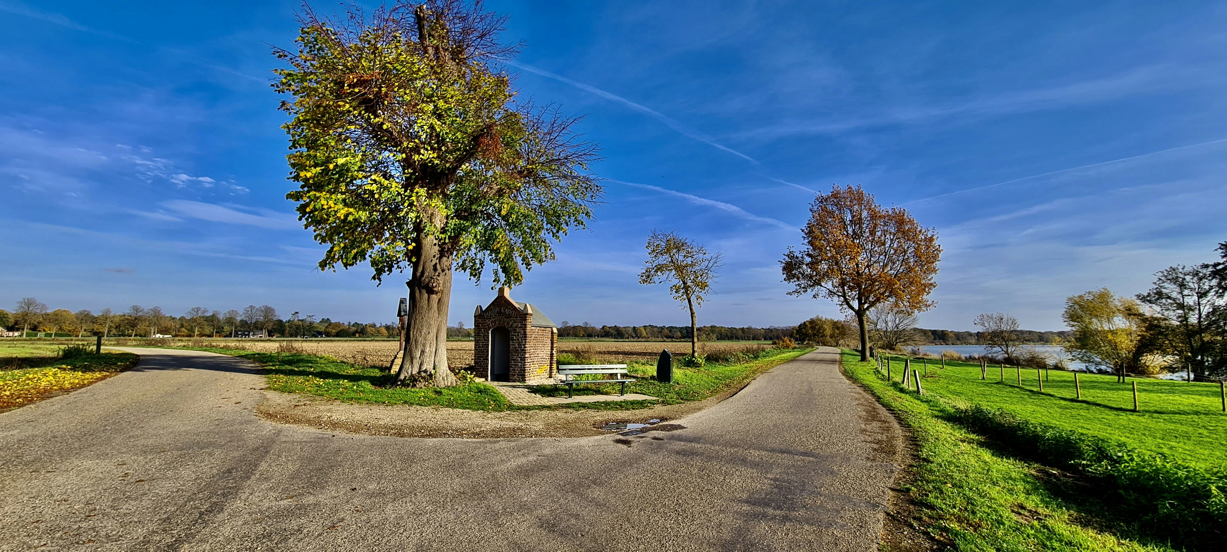 Autumn Pathways Converge